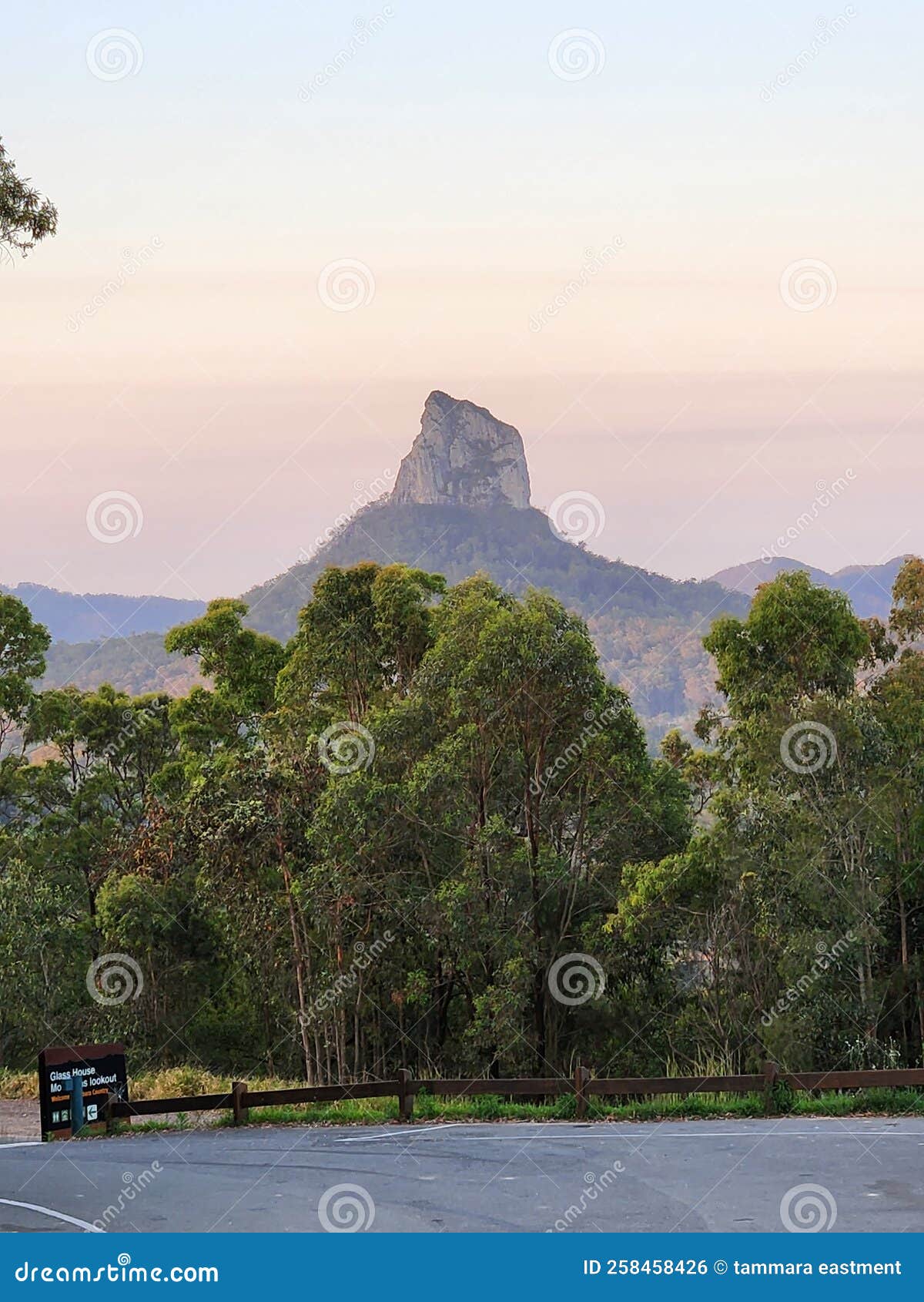 Sushine coast stock photo. Image of water, coast, sunlight - 258458426