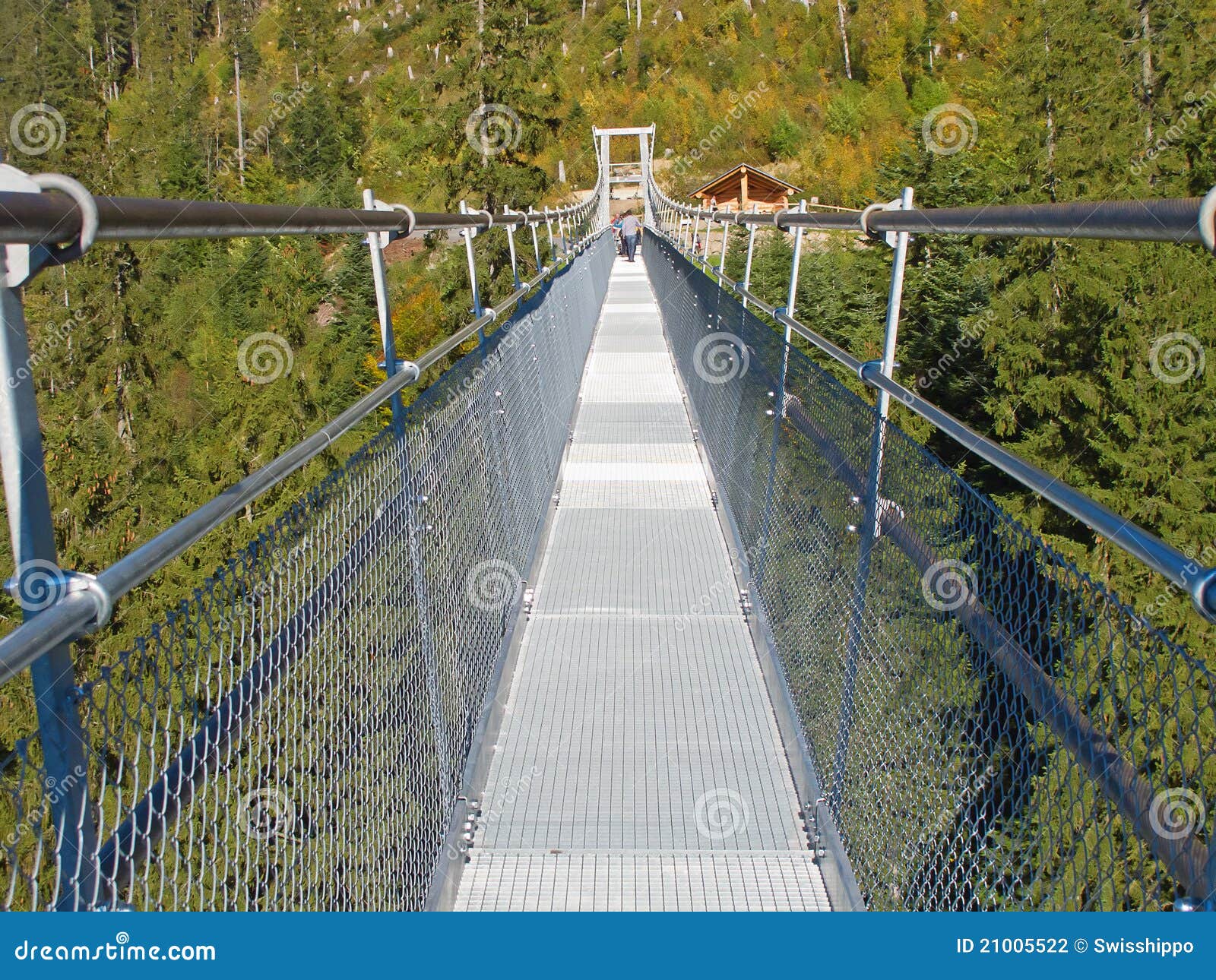 Suspended bridge stock photo. Image of journey, river - 21005522