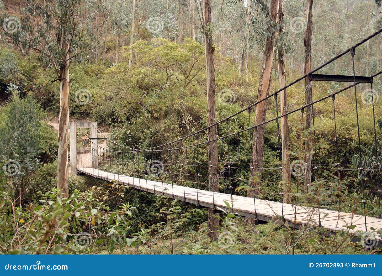Suspended Bridge stock image. Image of ecuador, suspension - 26702893