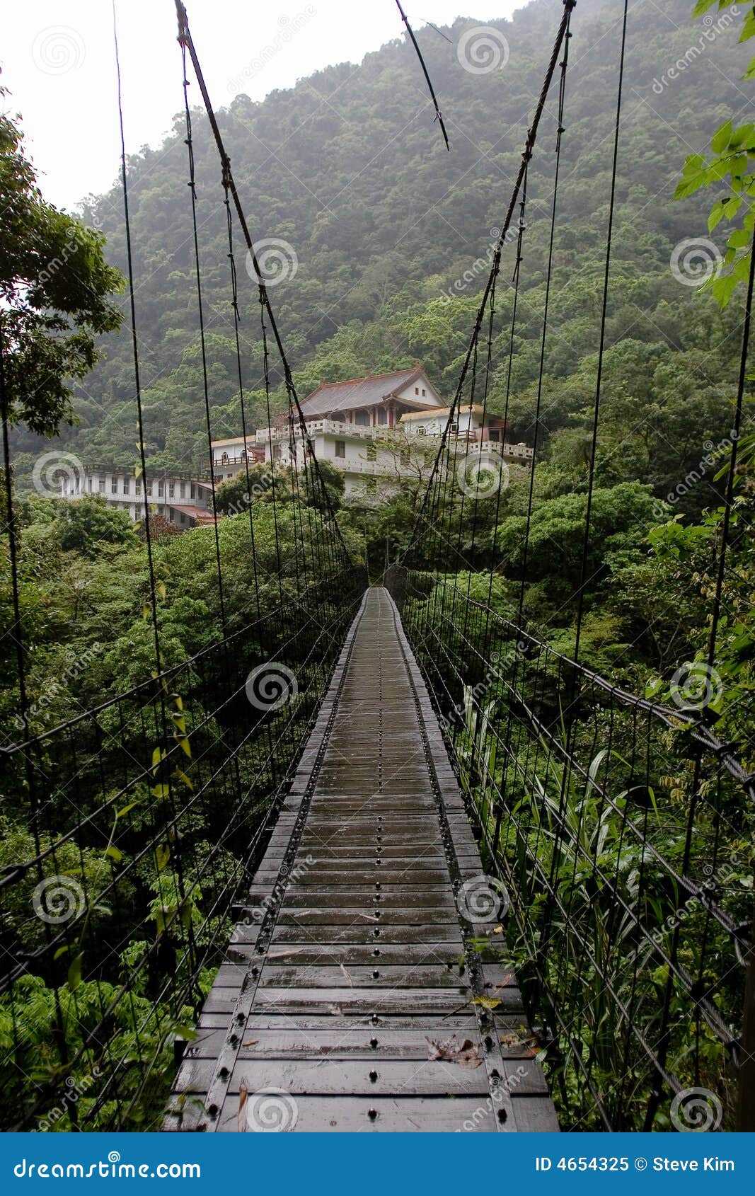 Suspended Bridge Royalty-Free Stock Photography | CartoonDealer.com ...