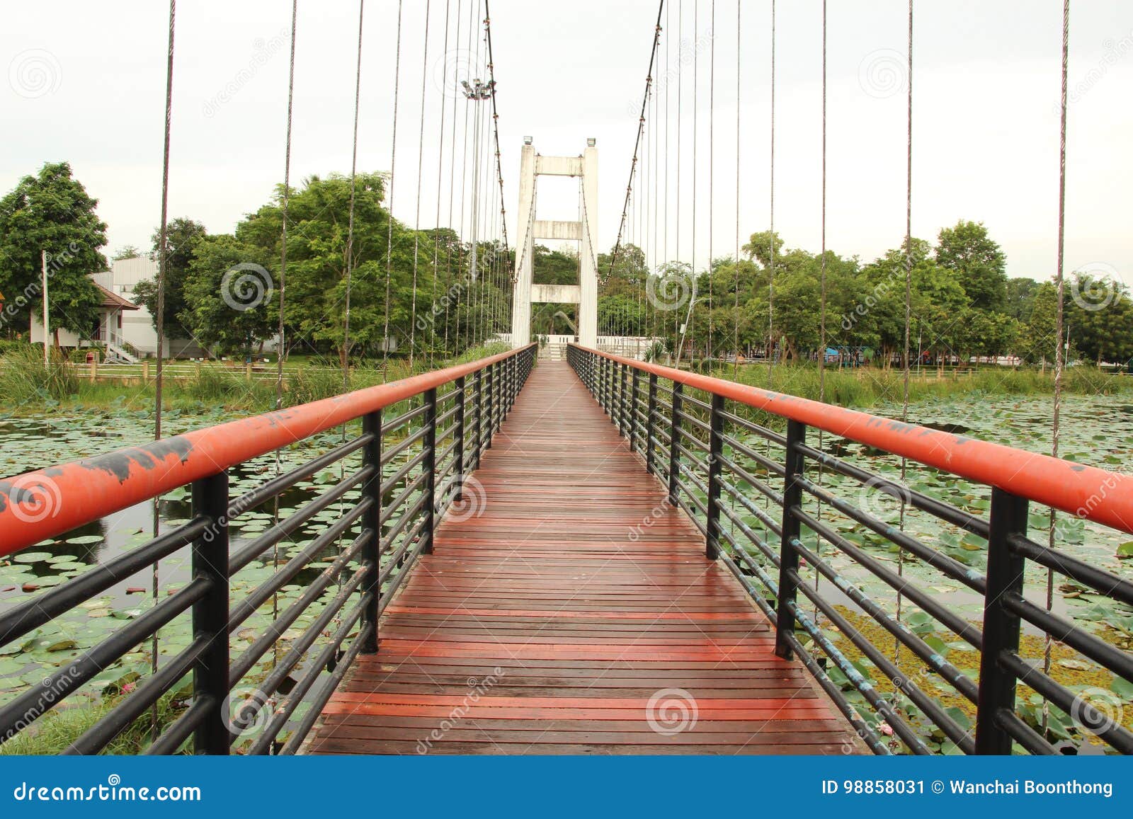 Bridge stock image. Image of channel, pole, bridge, straight - 98858031