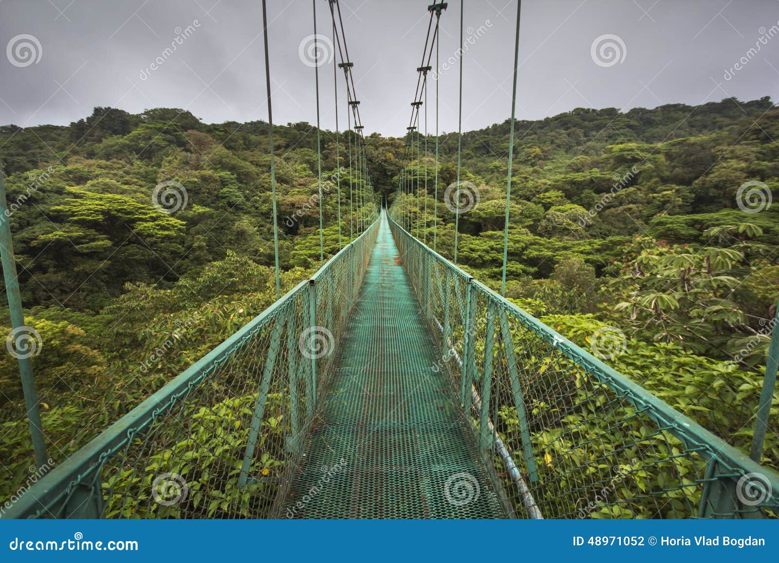 Suspended Bridge in Costa Rica Stock Photo - Image of cable, trees ...