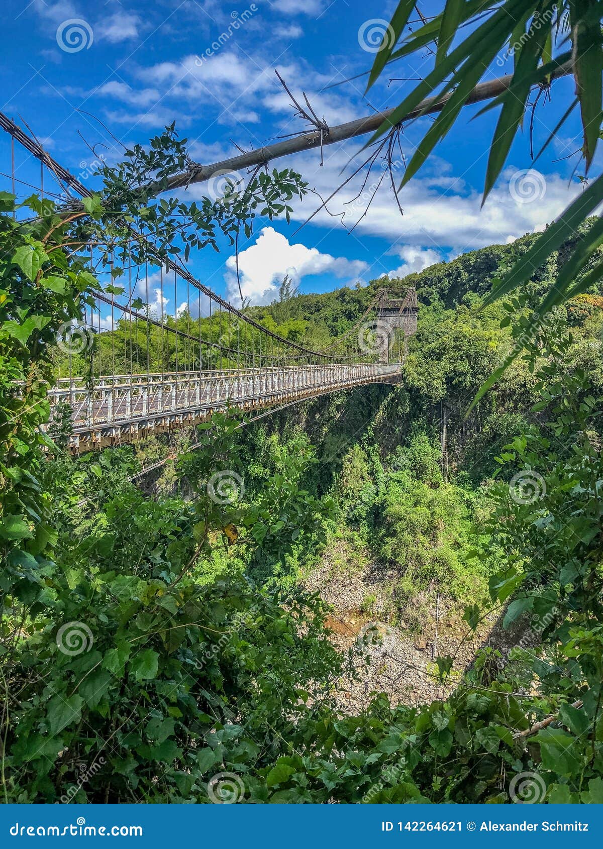Old Suspended Bridge in the Jungle on La Reunion Island Stock Image ...