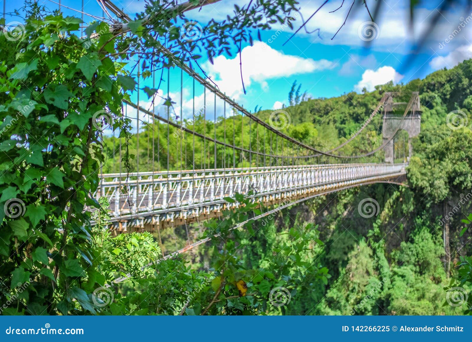 Suspended Bridge on La Reunion Island Stock Image - Image of cable ...