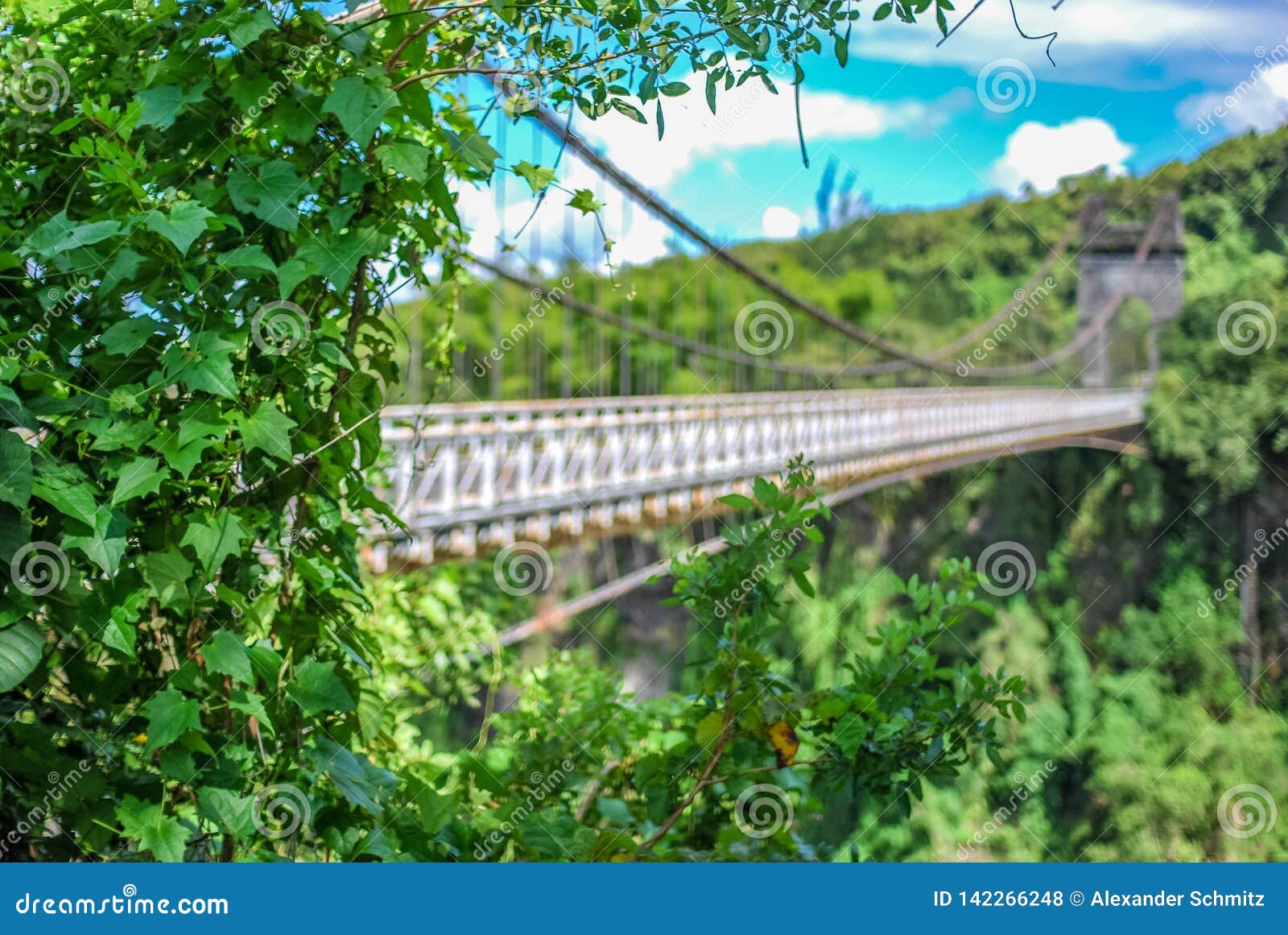 Suspended Bridge on La Reunion Island Stock Photo - Image of bridge ...