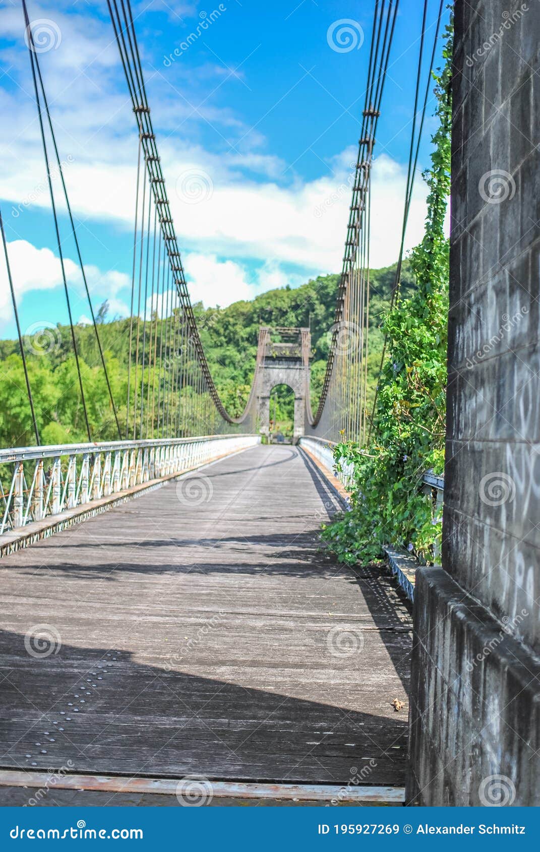 Suspended Bridge on La Reunion Island Stock Image - Image of order ...