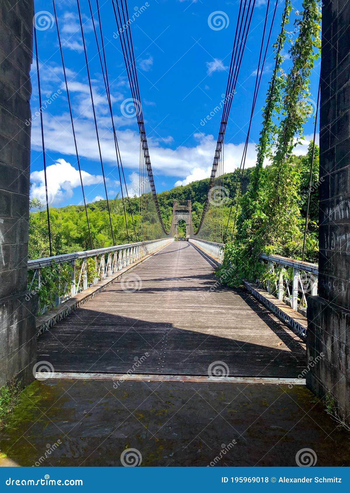 Suspended Bridge on La Reunion Island Stock Photo - Image of jungle ...