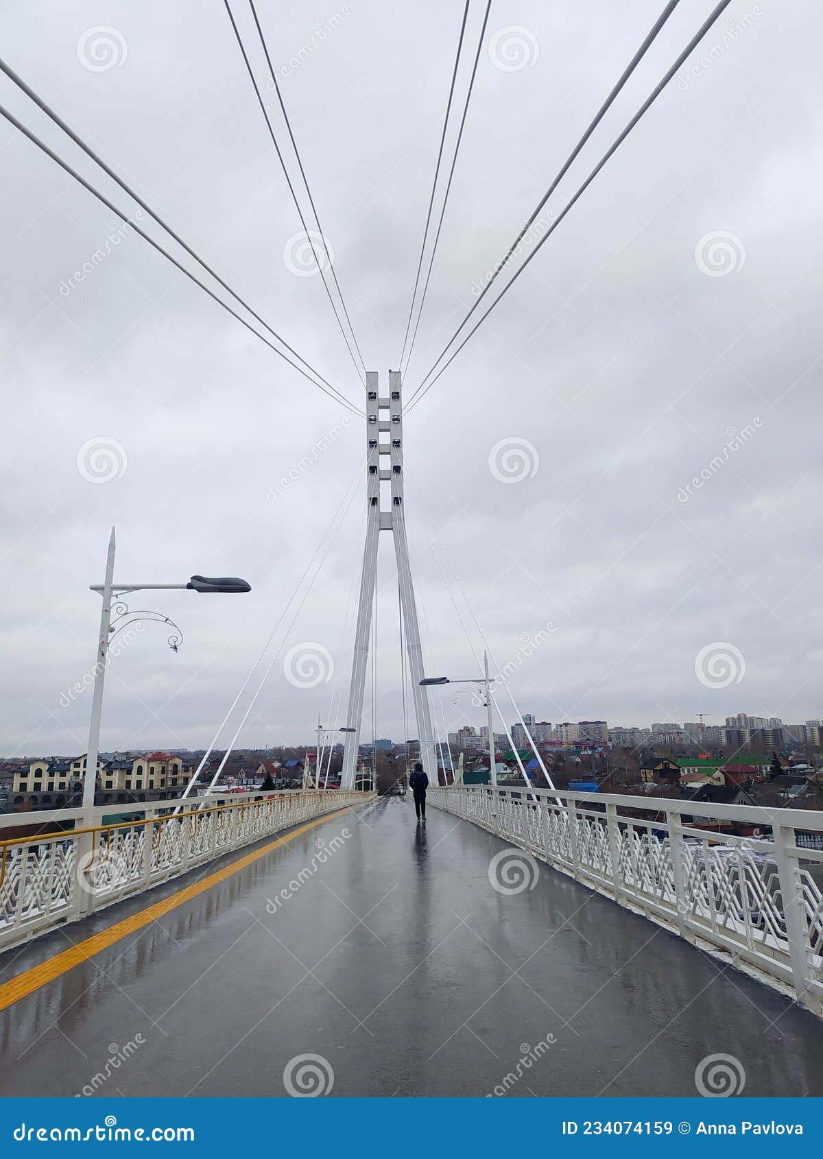 Suspended Cable-stayed Bridge in Cloudy Autumn Weather after Rain Stock ...