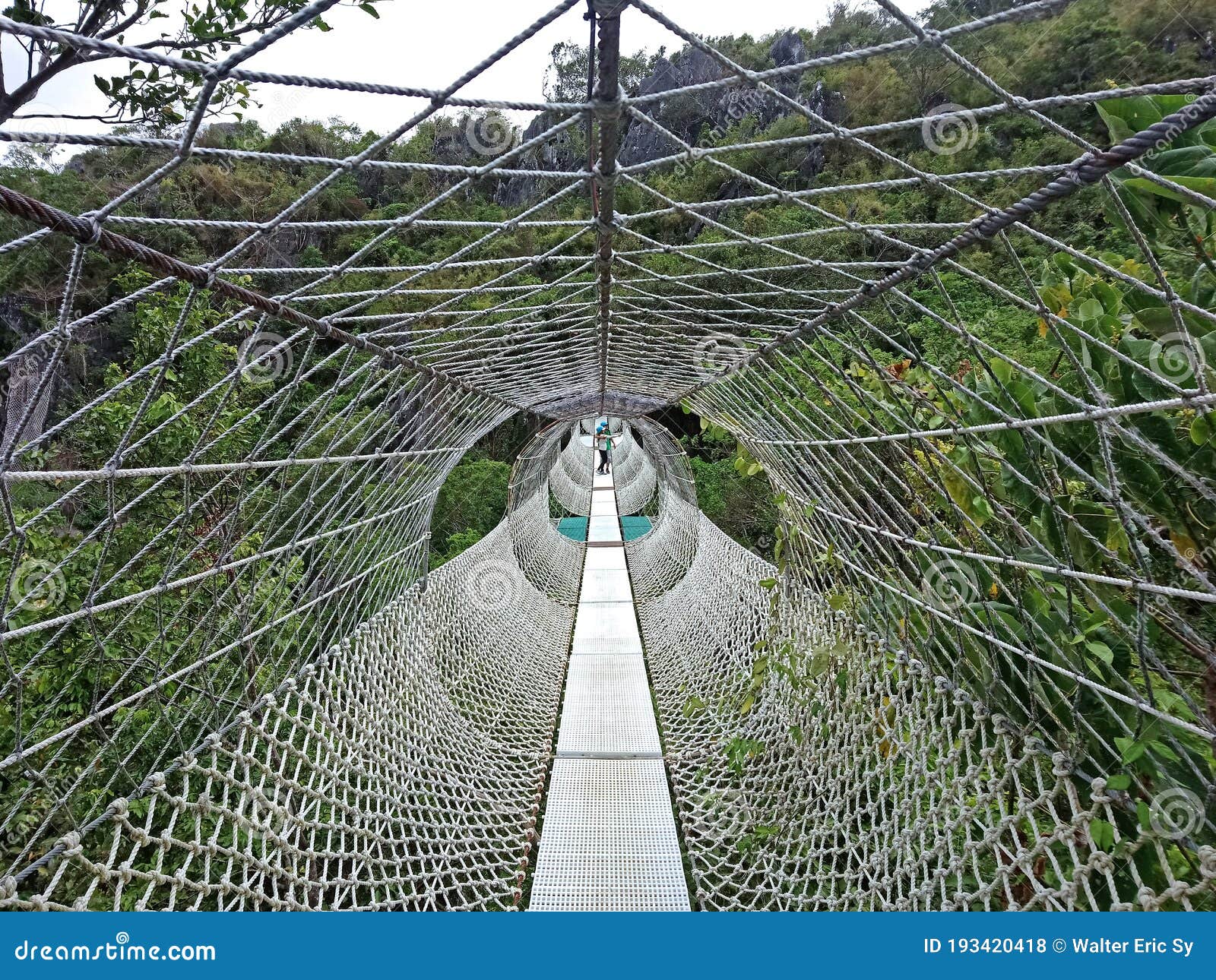 Suspended Hanging Bridge Made from Ropes Stock Photo - Image of pass ...