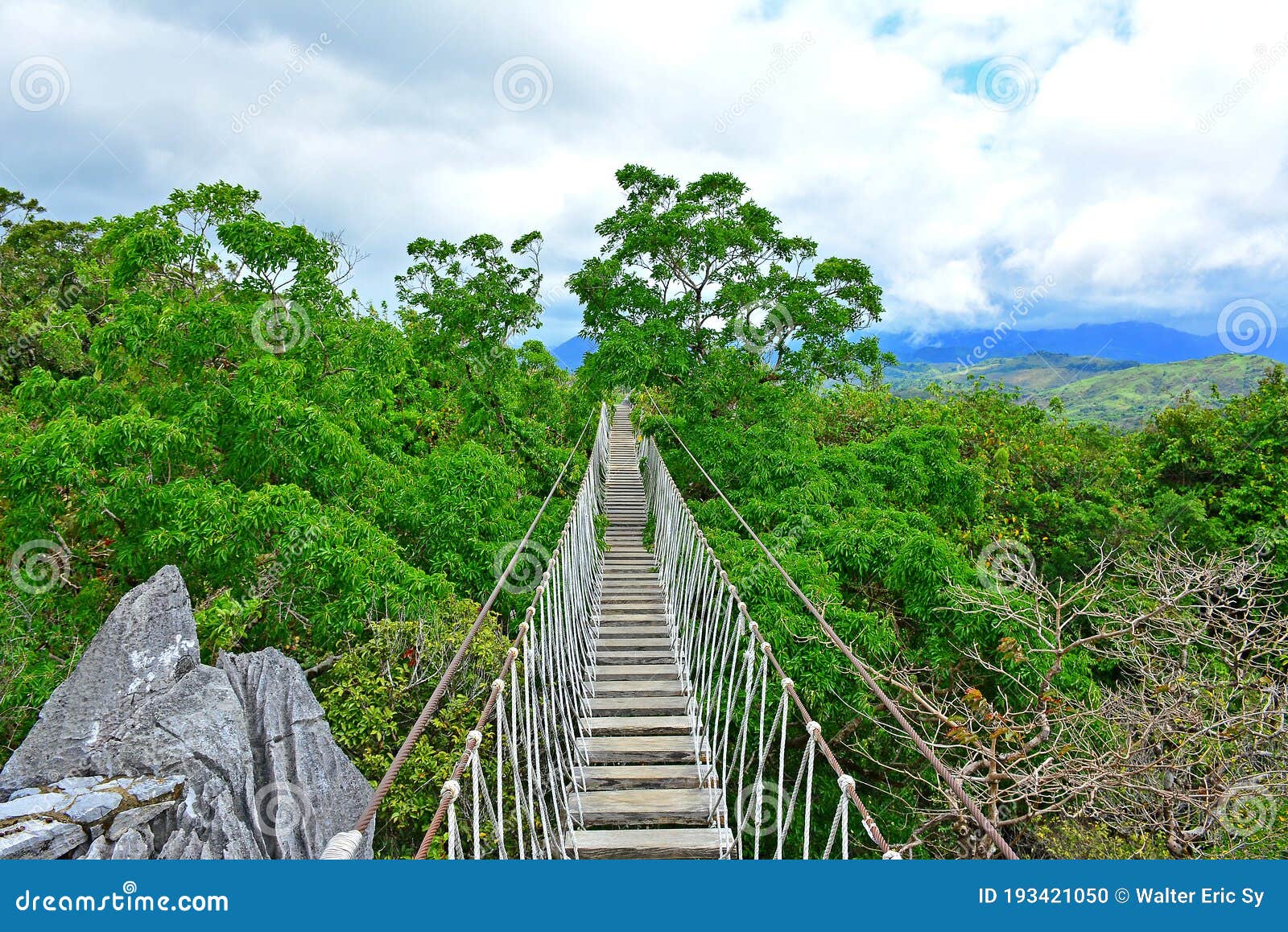 Suspended Hanging Bridge Made from Ropes Stock Photo - Image of baras ...