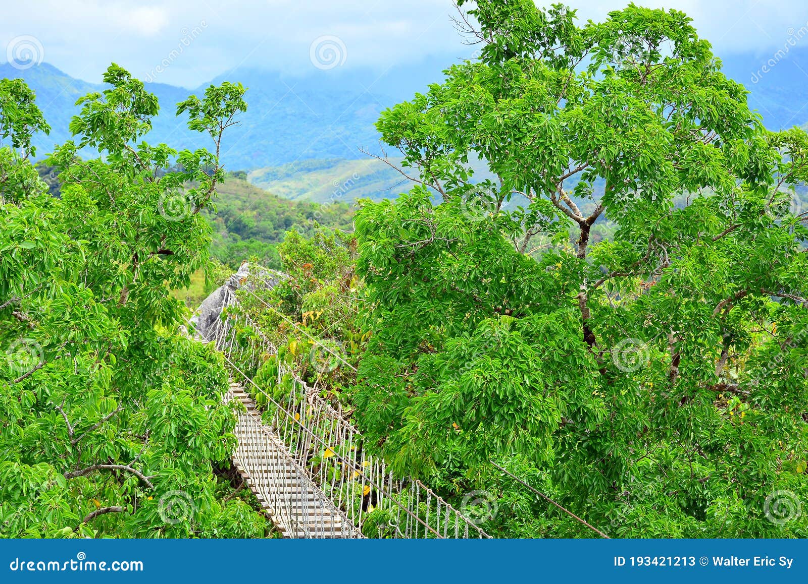 Suspended Hanging Bridge Made from Ropes Stock Image - Image of luzon ...