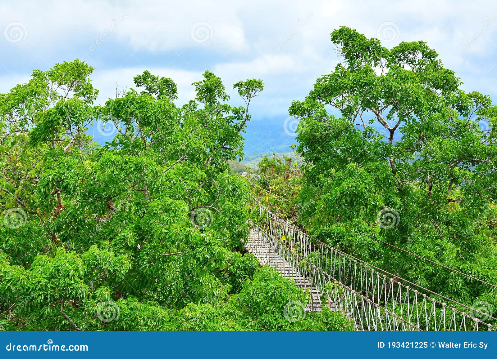 Suspended Hanging Bridge Made from Ropes Stock Image - Image of luzon ...