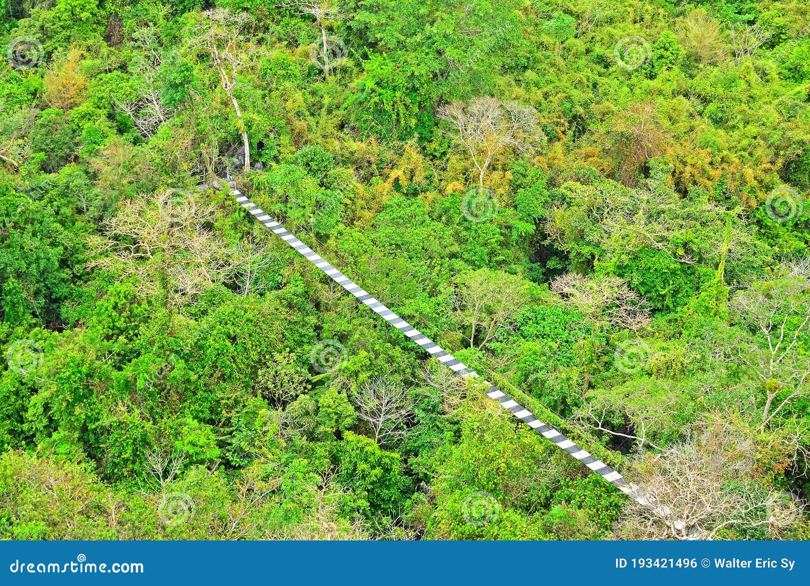 Suspended Hanging Bridge Made from Ropes Stock Photo - Image of access ...