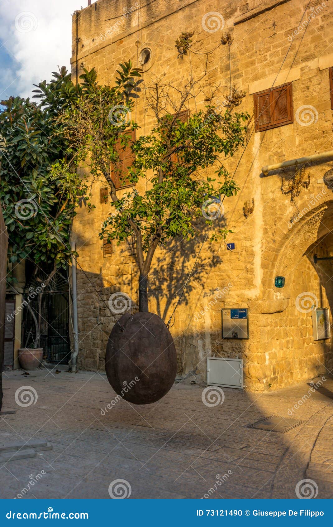 Suspended Jaffa Orange Tree in Old Jaffa Stock Photo - Image of ...