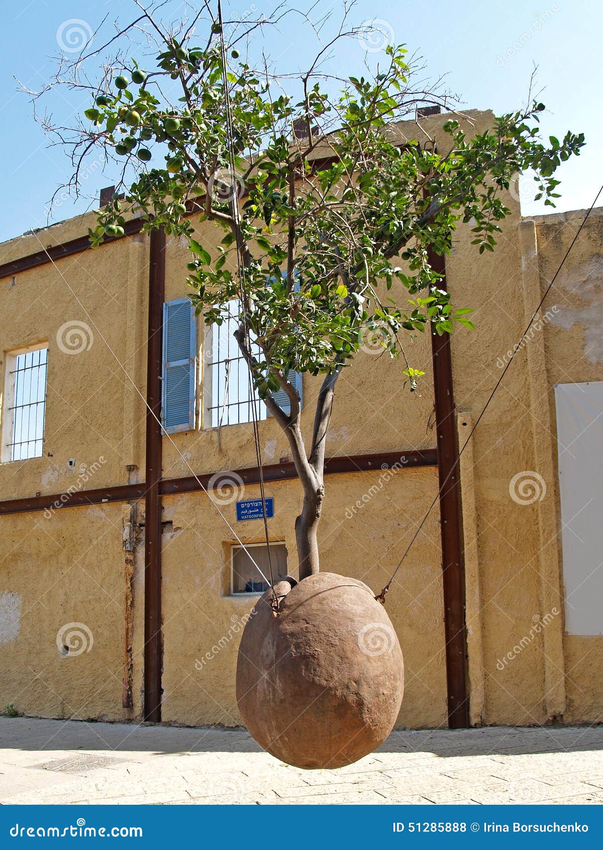 The Suspended Orange Tree. Yaffo, Israel Stock Photo - Image of citrus ...