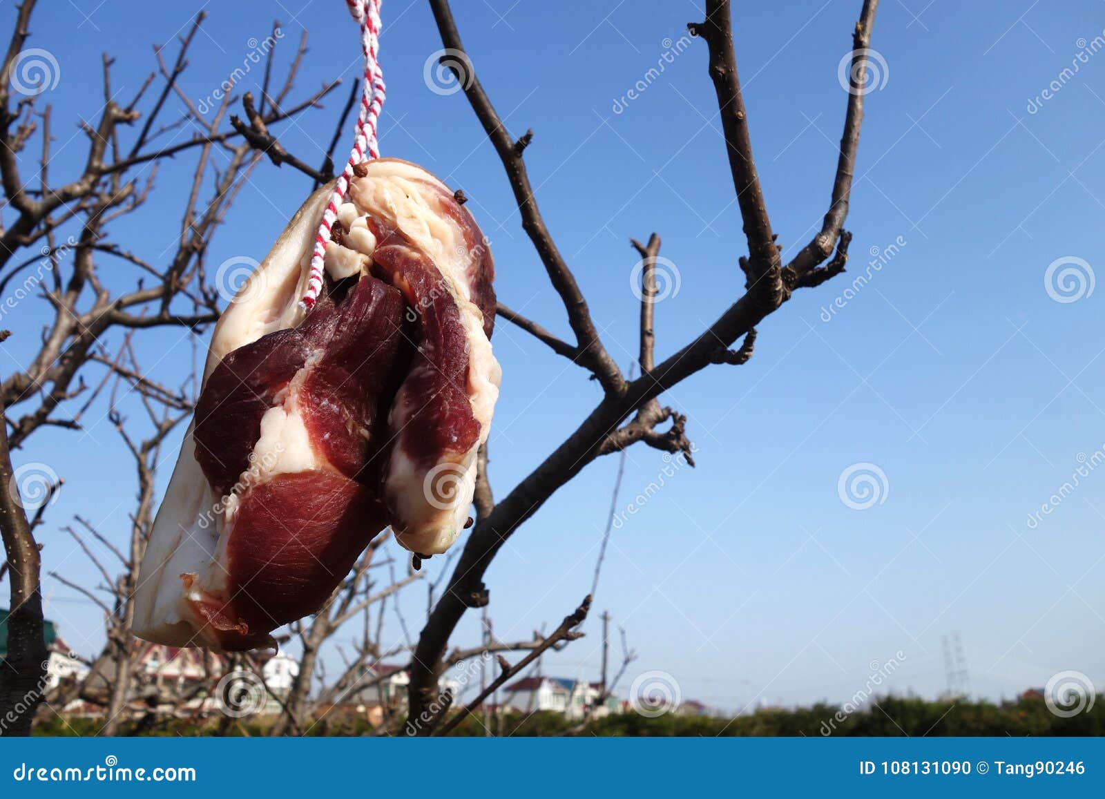 The Suspended Pieces of the Meat Drying Outside Stock Photo - Image of ...