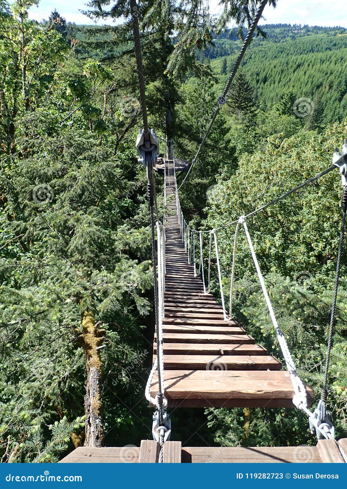Suspended Rope Bridge stock image. Image of healthy - 119282723