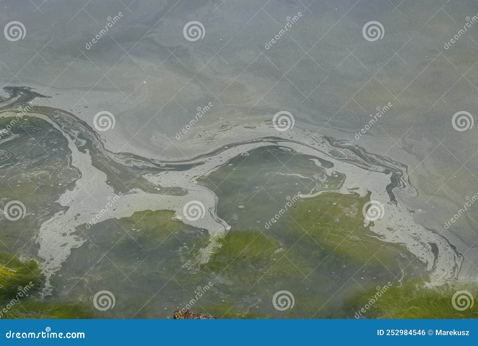 Suspended Solids on the of Contaminated Sea Water Stock Photo - Image ...
