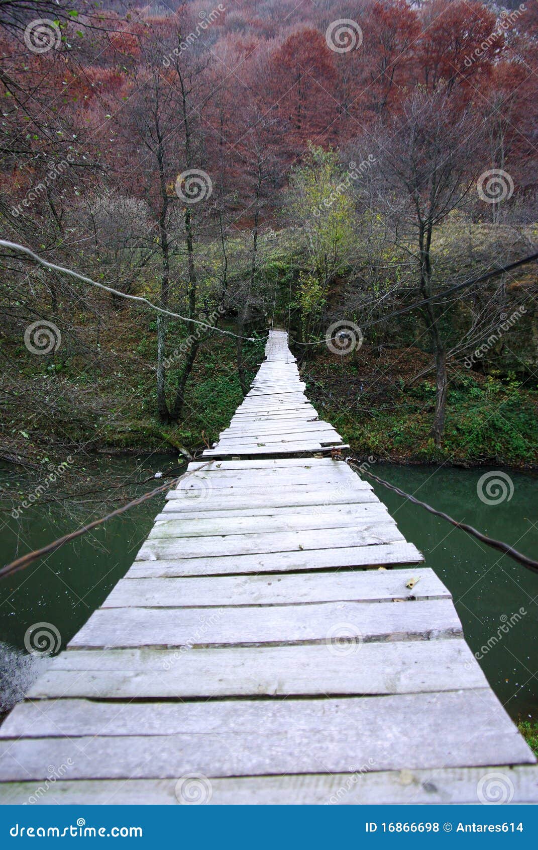 Suspended wire bridge stock photo. Image of autumn, suspended - 16866698