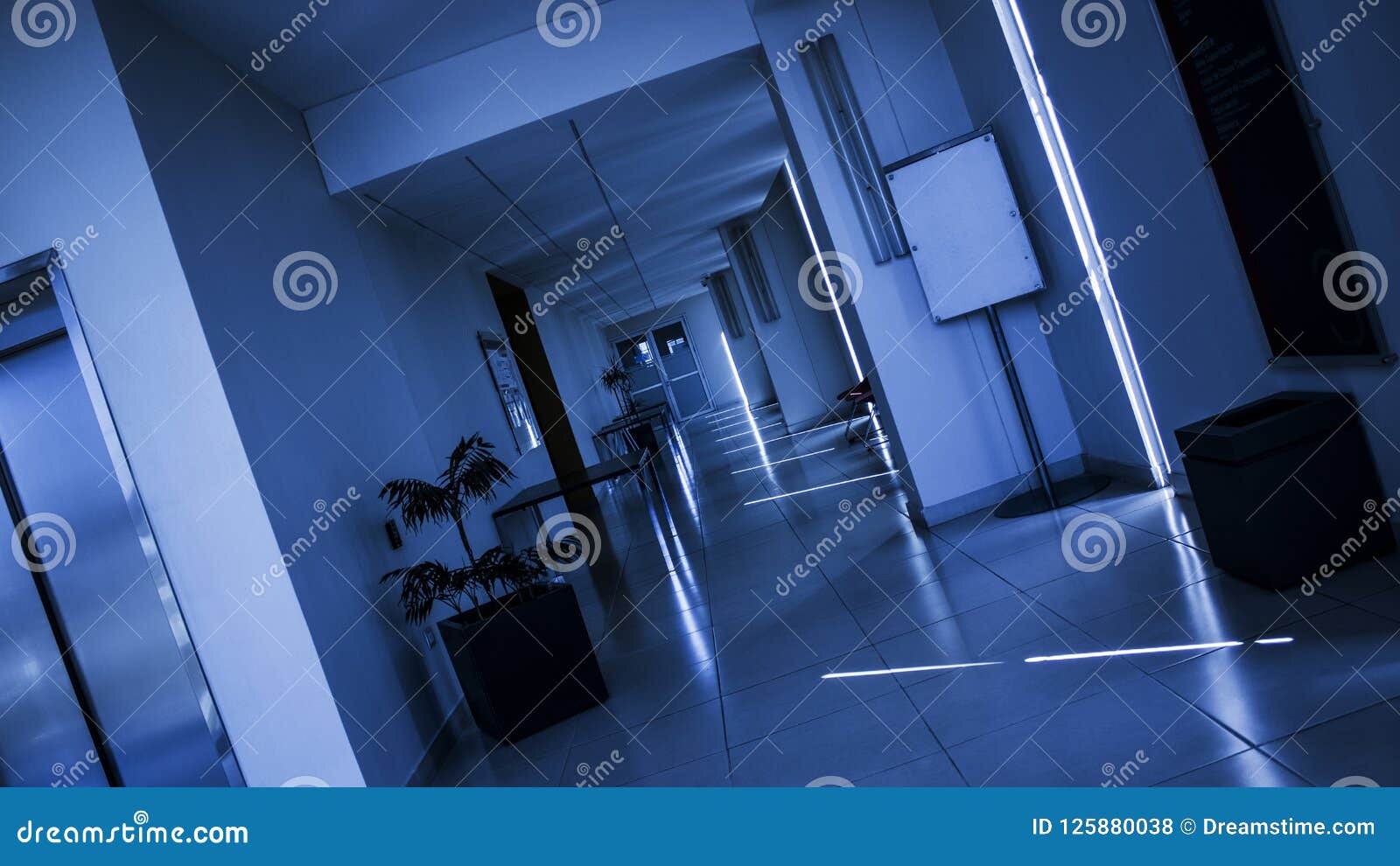 Suspense Horror Aisle stock photo. Image of building - 125880038