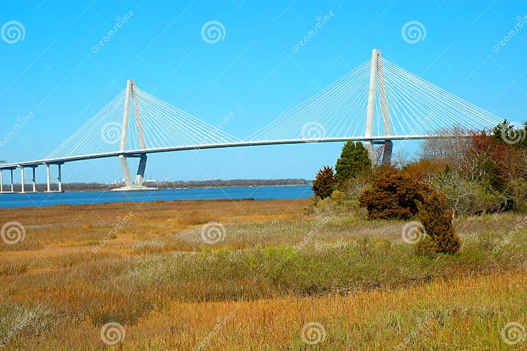 Suspension bridge stock image. Image of foilage, cables - 2032335