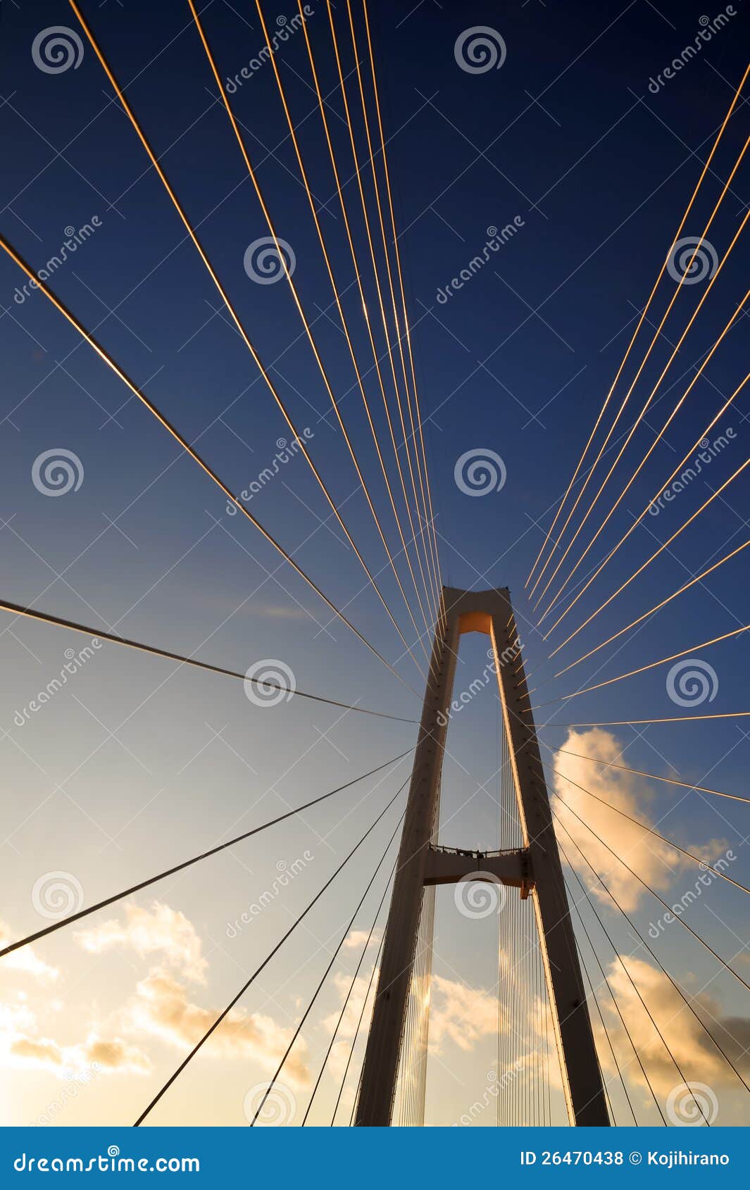Suspension Bridge stock photo. Image of cable, rope, architecture ...
