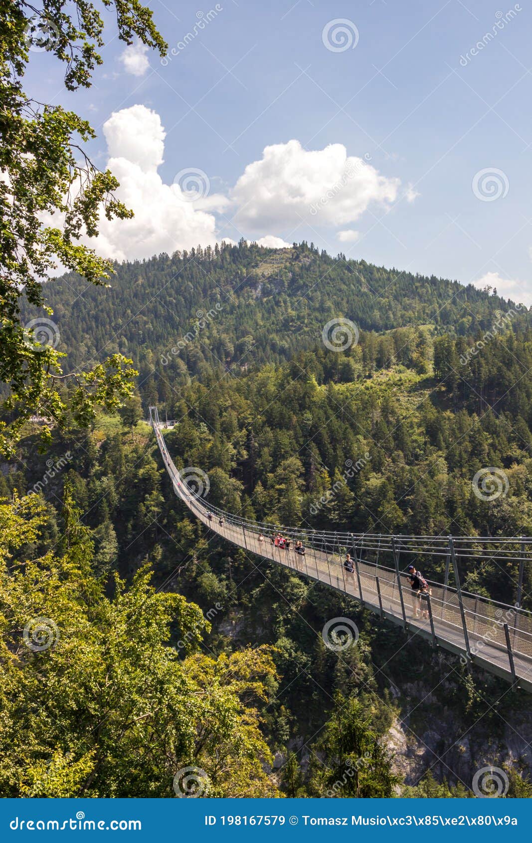 Suspension bridge in Alps stock image. Image of panoramic - 198167579