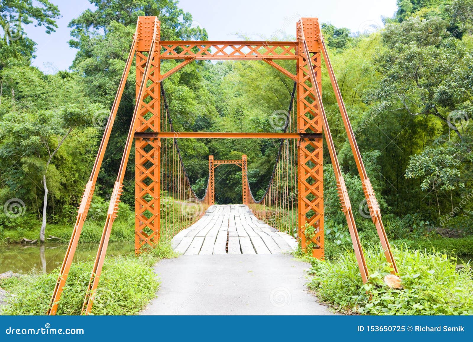 Suspension Bridge, Blanchisseuse, Trinidad Stock Image - Image of ...
