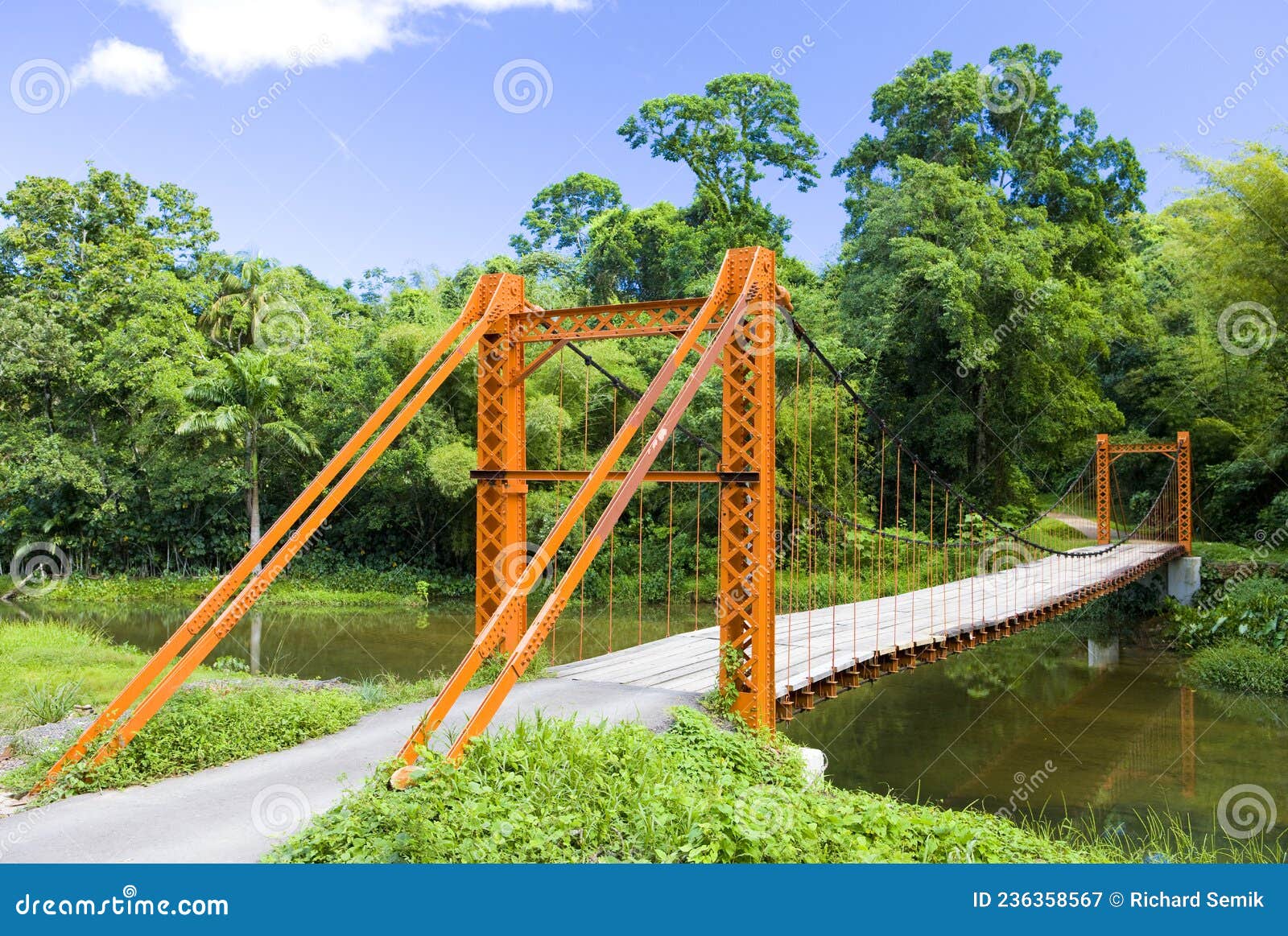 Suspension Bridge, Blanchisseuse, Trinidad Stock Image - Image of ...