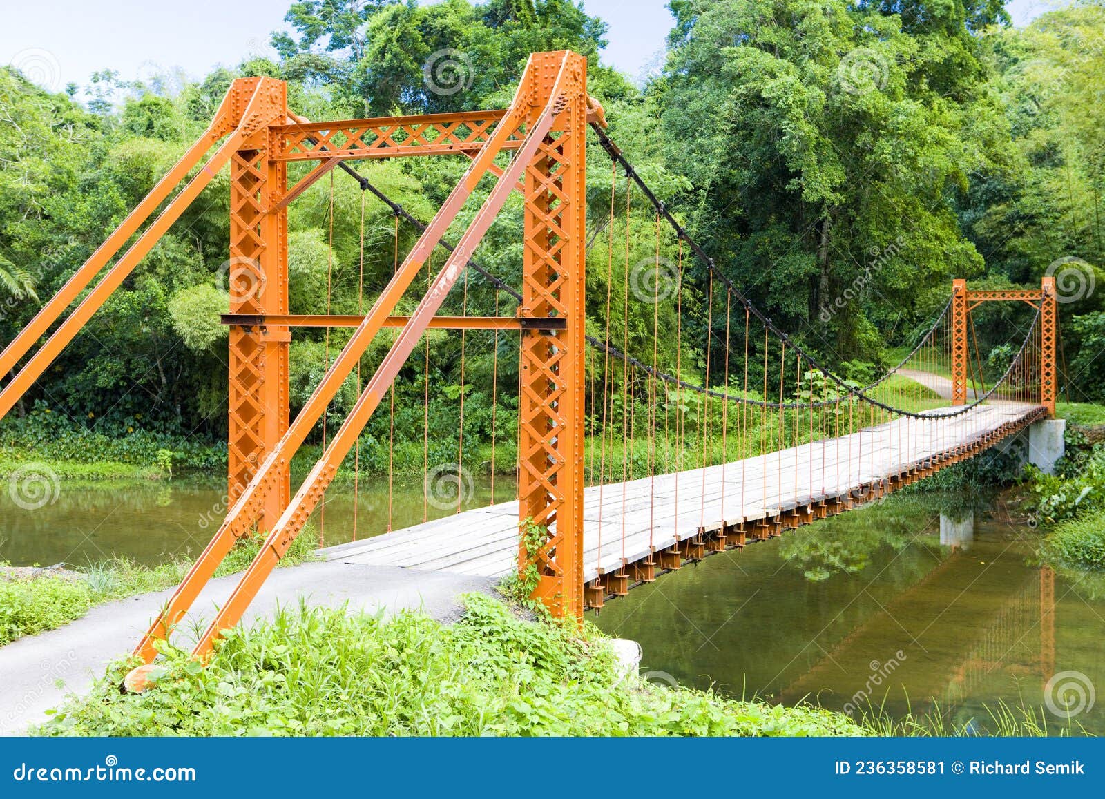 Suspension Bridge, Blanchisseuse, Trinidad Stock Image - Image of ...