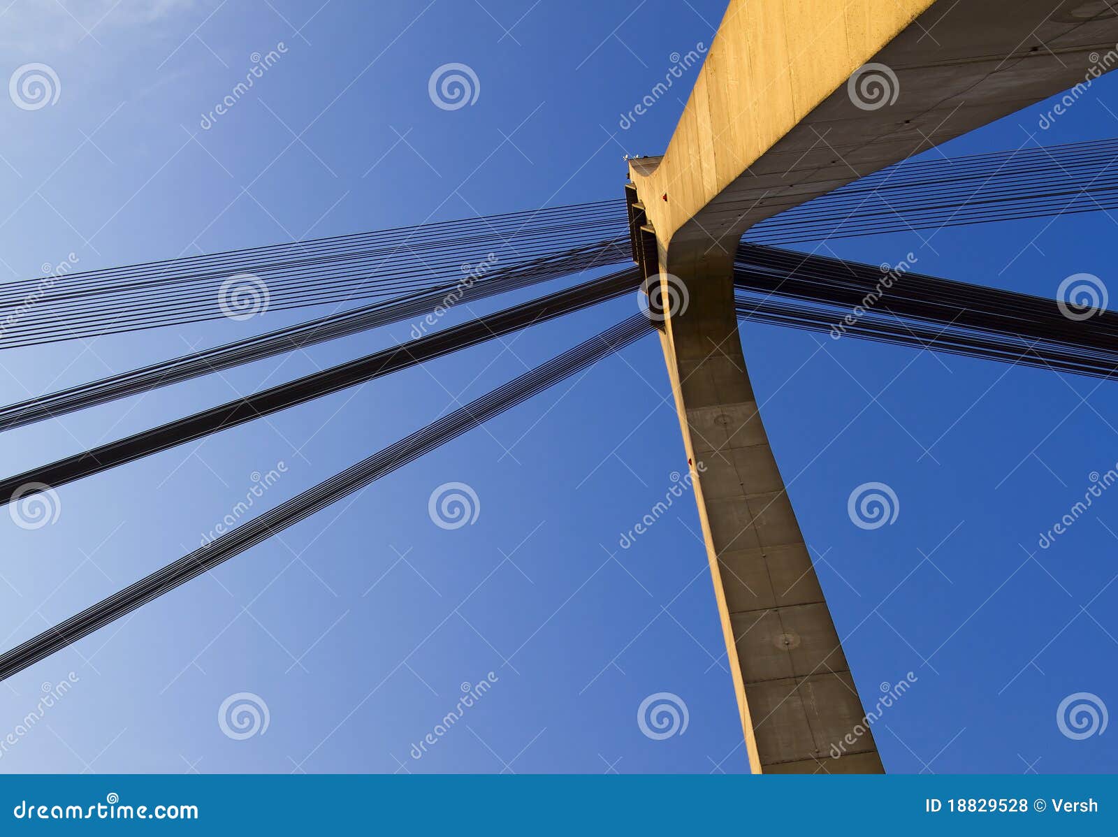 Suspension Bridge with Cables Stock Photo - Image of length, shape ...