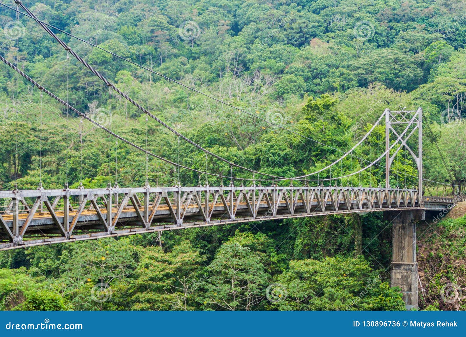 Suspension Bridge in Costa Ri Stock Photo - Image of america, passage ...
