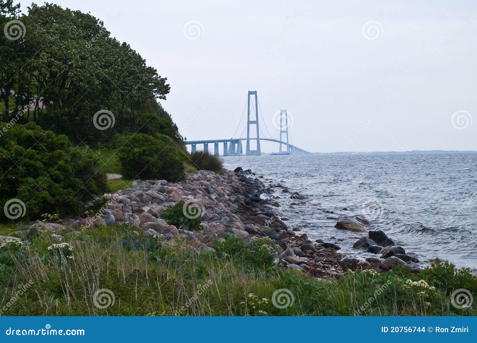 Suspension bridge Denmark stock photo. Image of architecture - 20756744