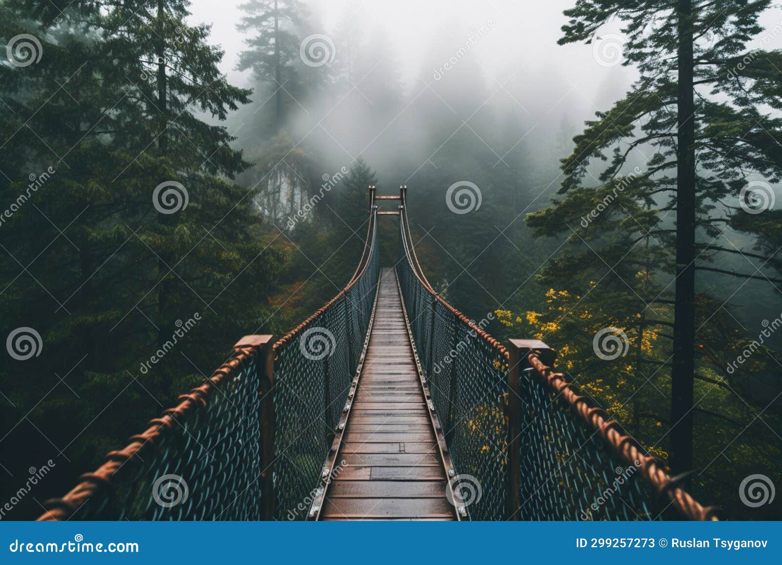Suspension Bridge in a Dense Green Forest Stock Illustration ...