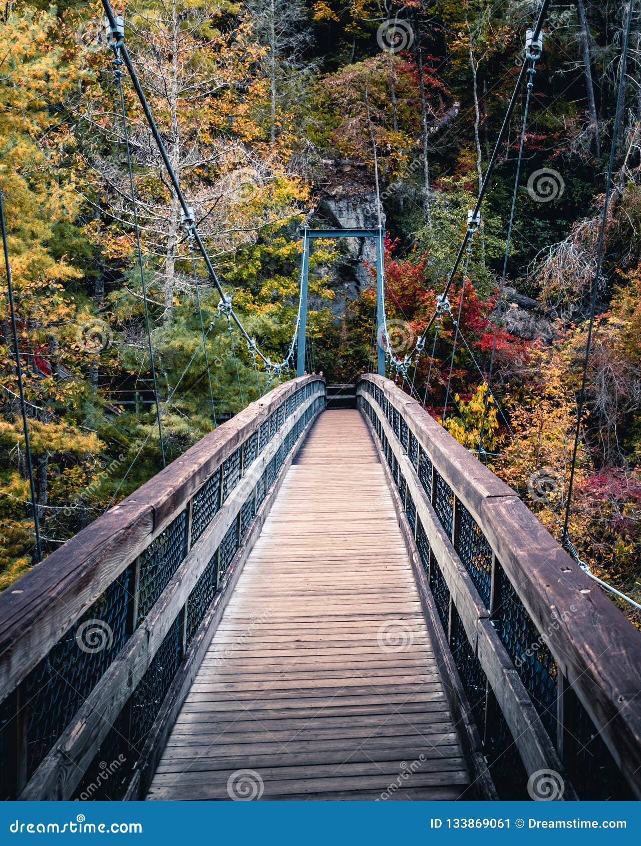 Fall Colors Suspension Bridge Stock Image - Image of travel, cross ...