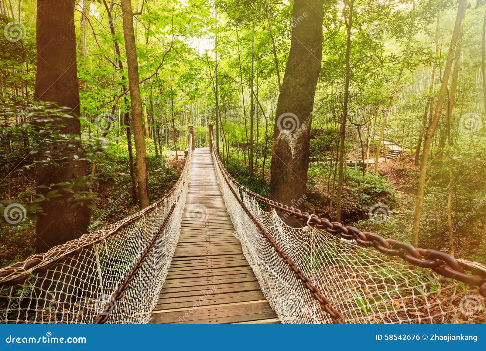 Suspension Bridge in the Forest Stock Photo - Image of railing, jungle ...