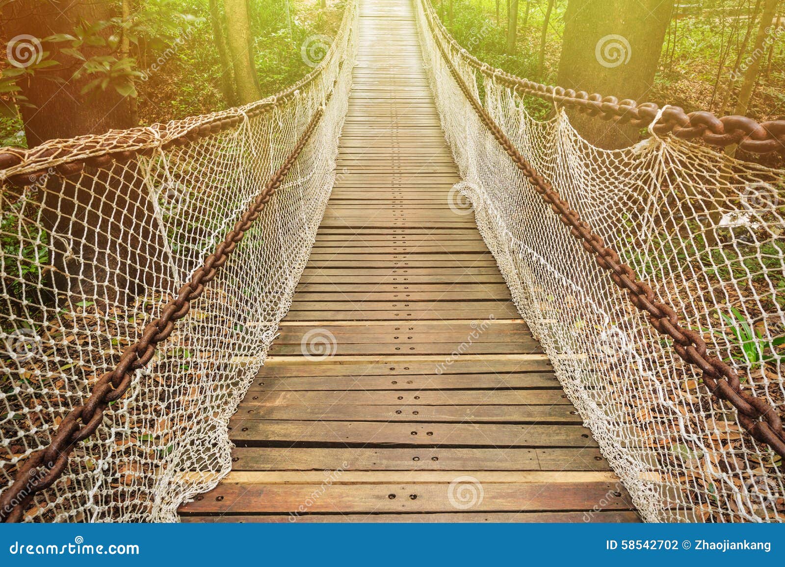 Suspension Bridge in the Forest Stock Photo - Image of bridge, path ...