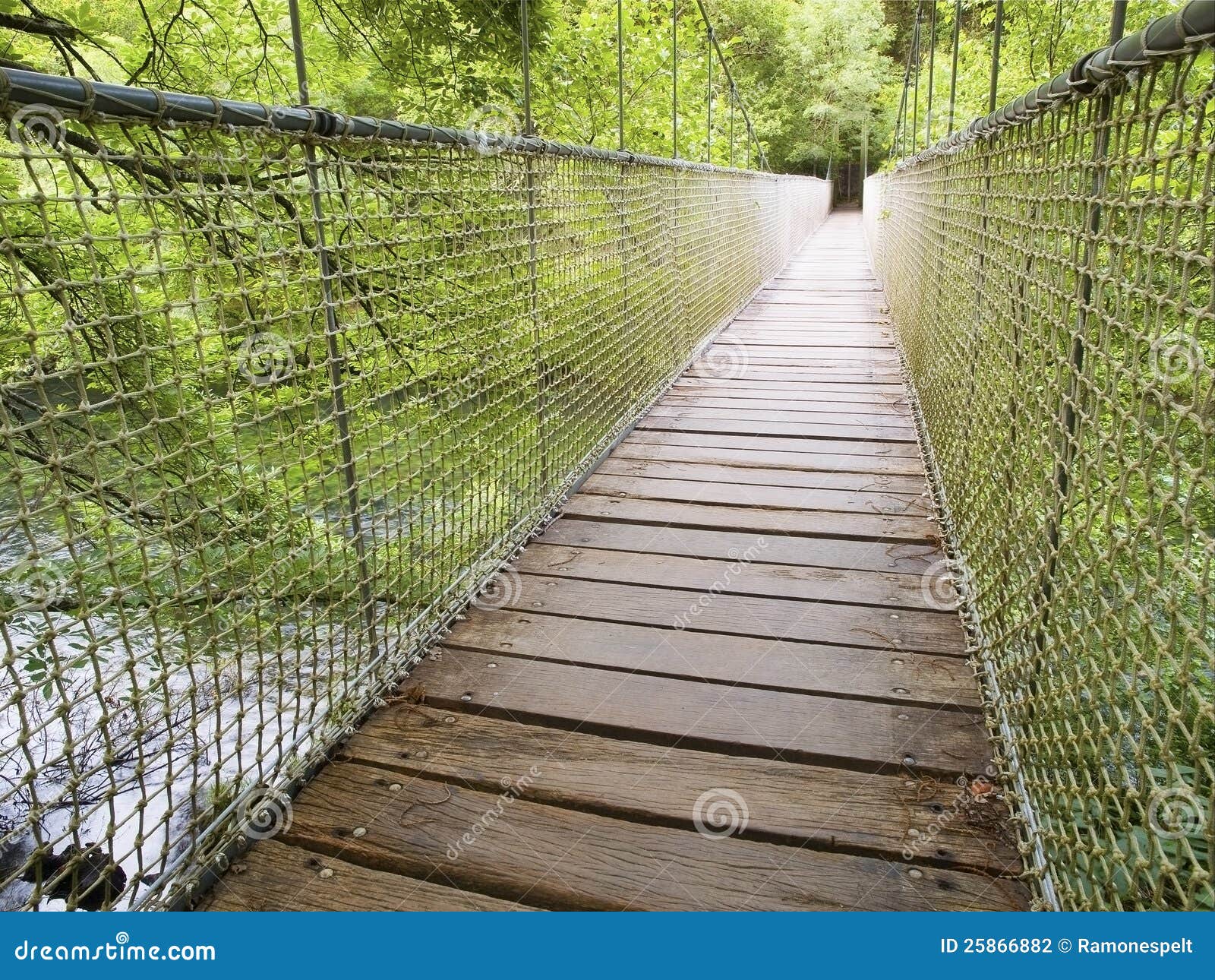 Suspension Bridge in the Forest in Prespective Stock Photo - Image of ...