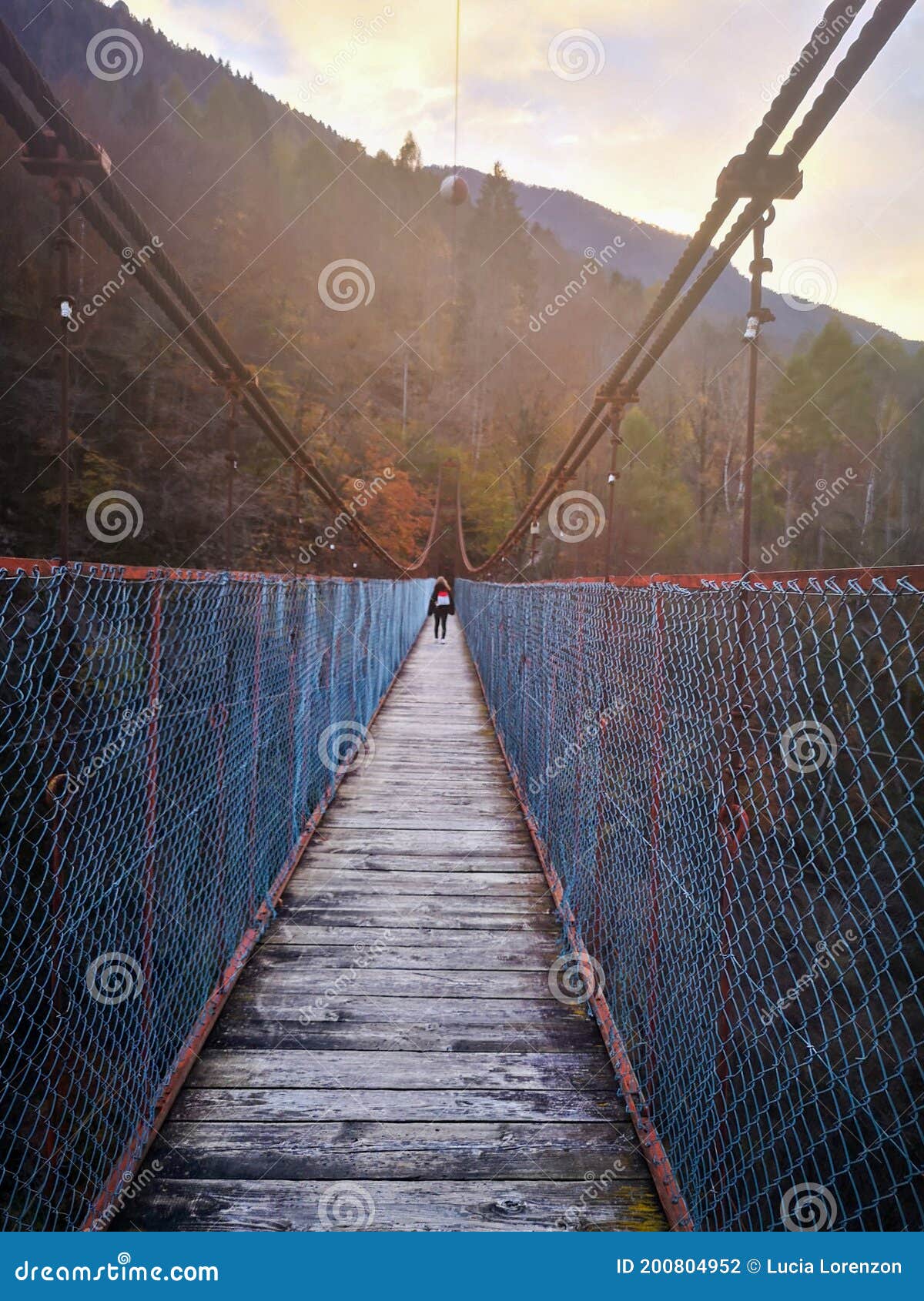 Suspension Bridge in Italy Dolomites Stock Photo - Image of italy ...