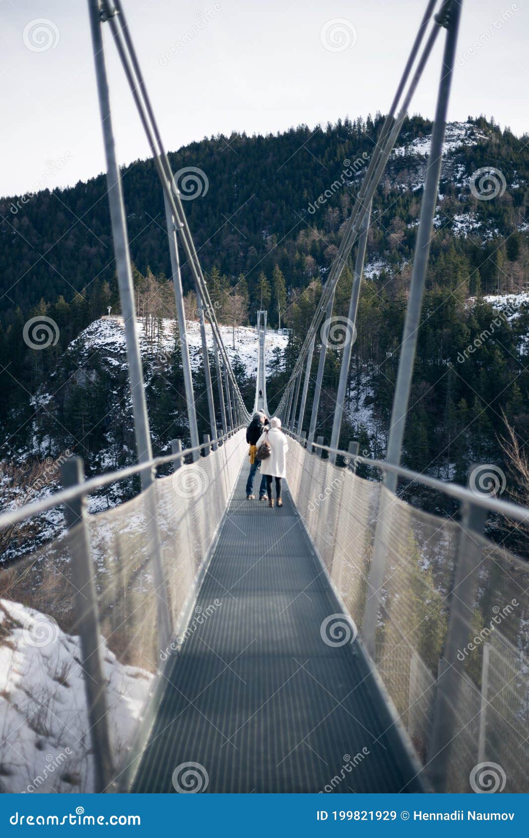 Suspension Bridge between the Mountains in the Alps in Germany Stock ...