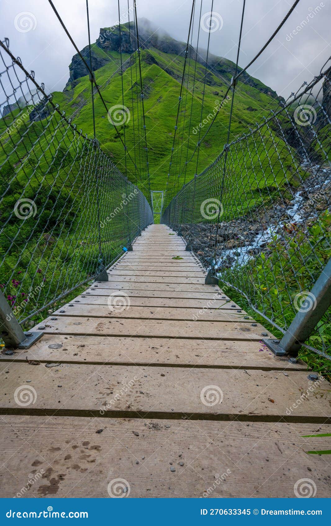 A Suspension Bridge between Mountains Stock Image - Image of grass ...