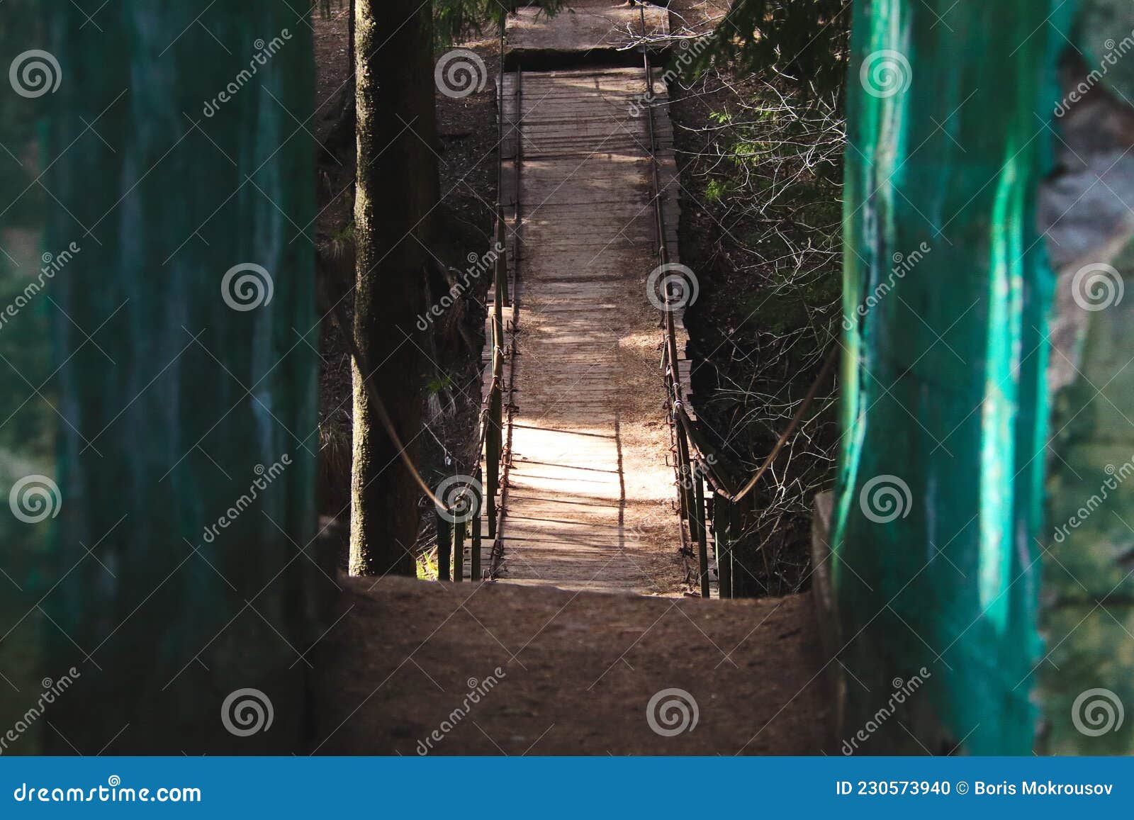 Suspension Bridge Over a Dark Ravine in the Forest Stock Photo - Image ...