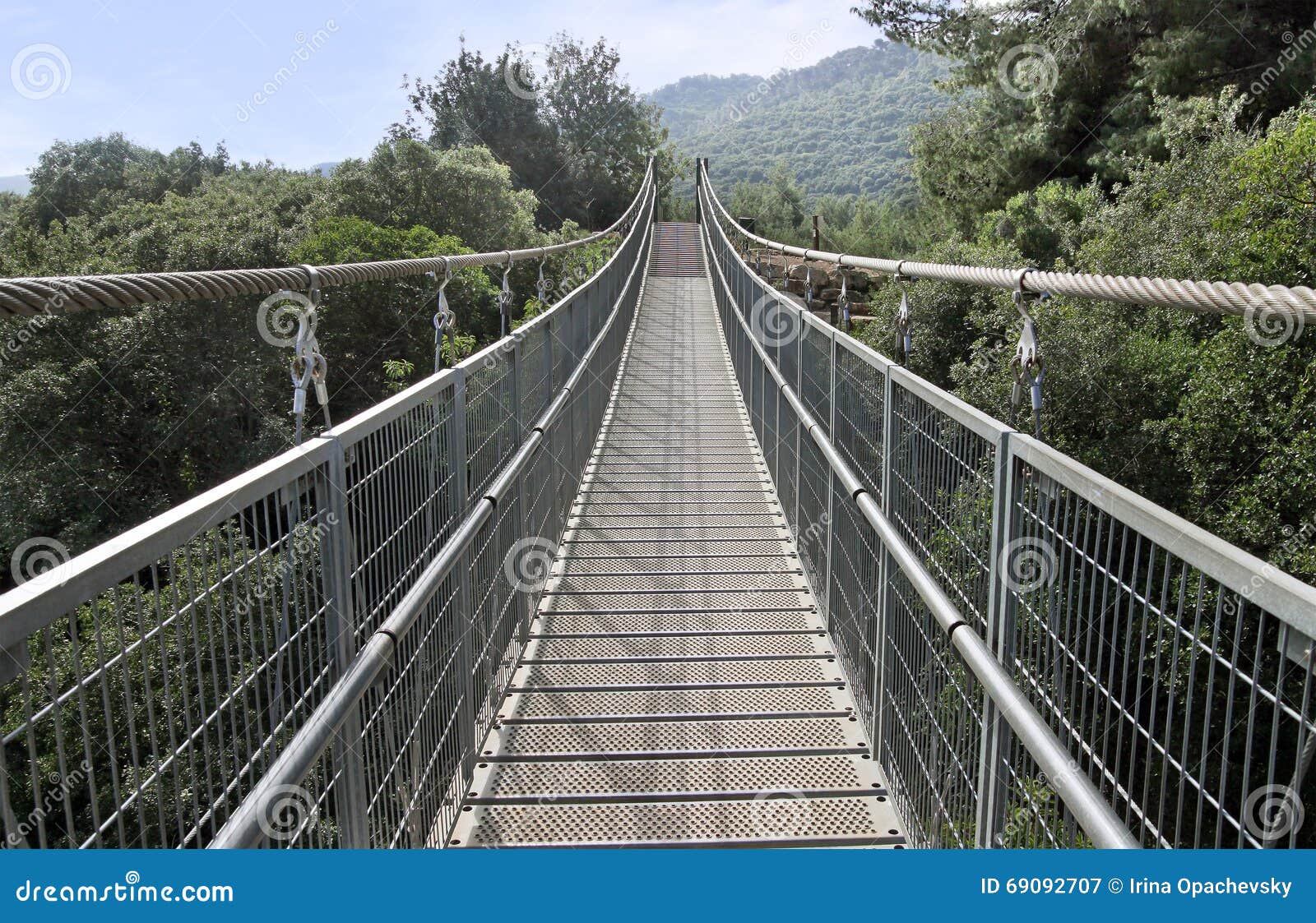 Suspension Bridge Over the Ravine Stock Image - Image of tree, modern ...