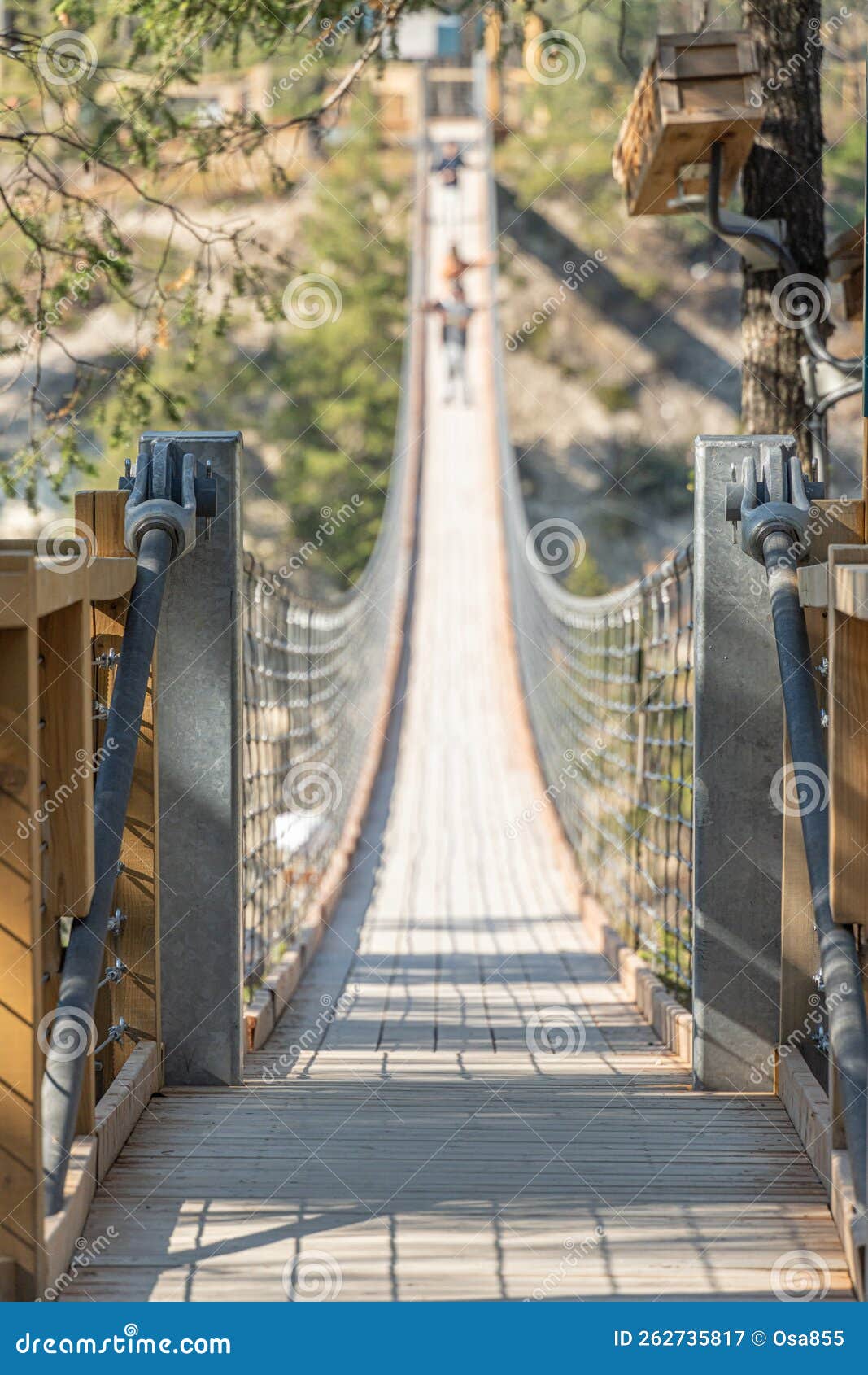 Suspension Bridge Over a Ravine in a Park Stock Image - Image of ...