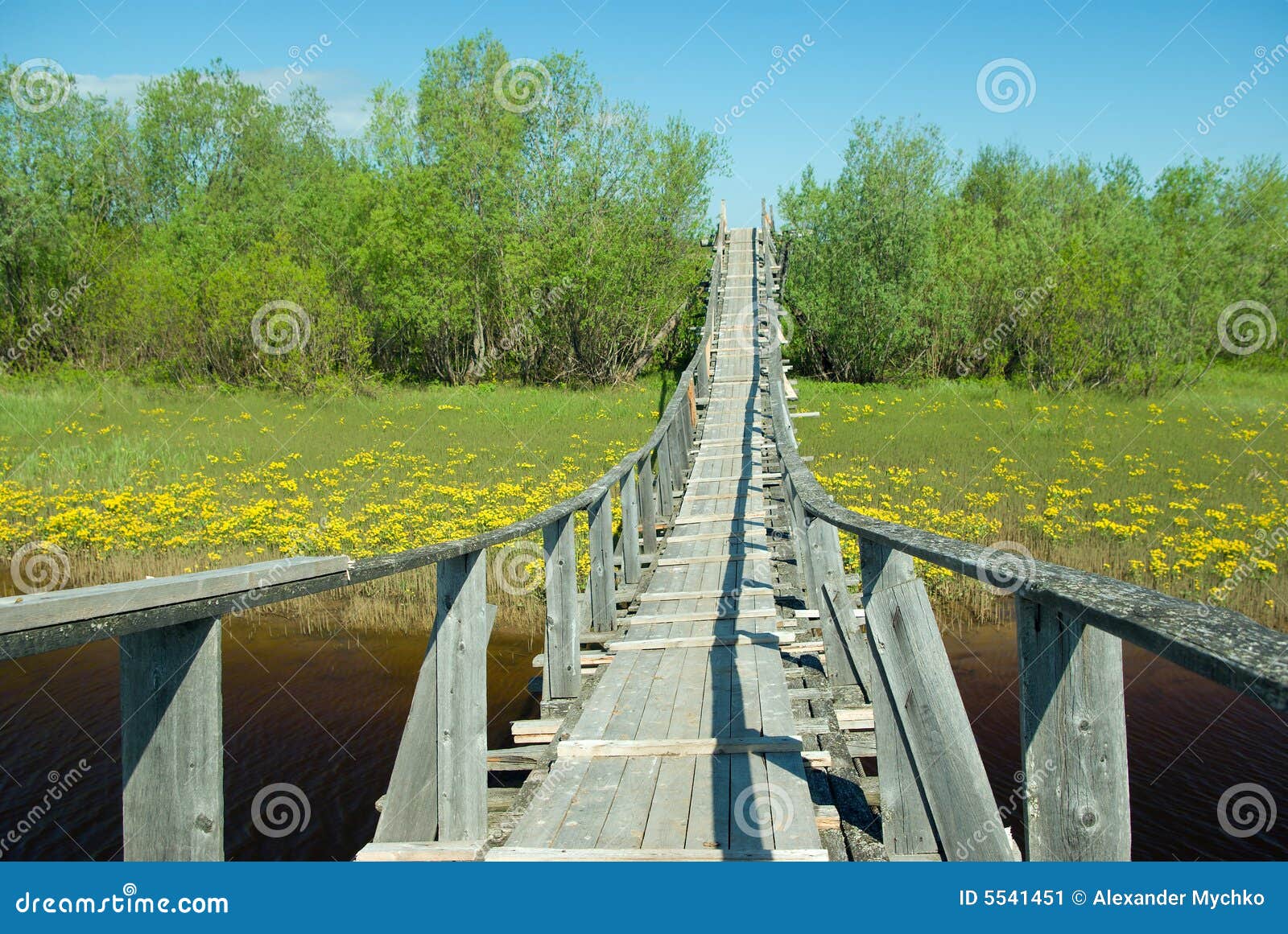 Suspension Bridge Over the Rive Stock Image - Image of suspension ...