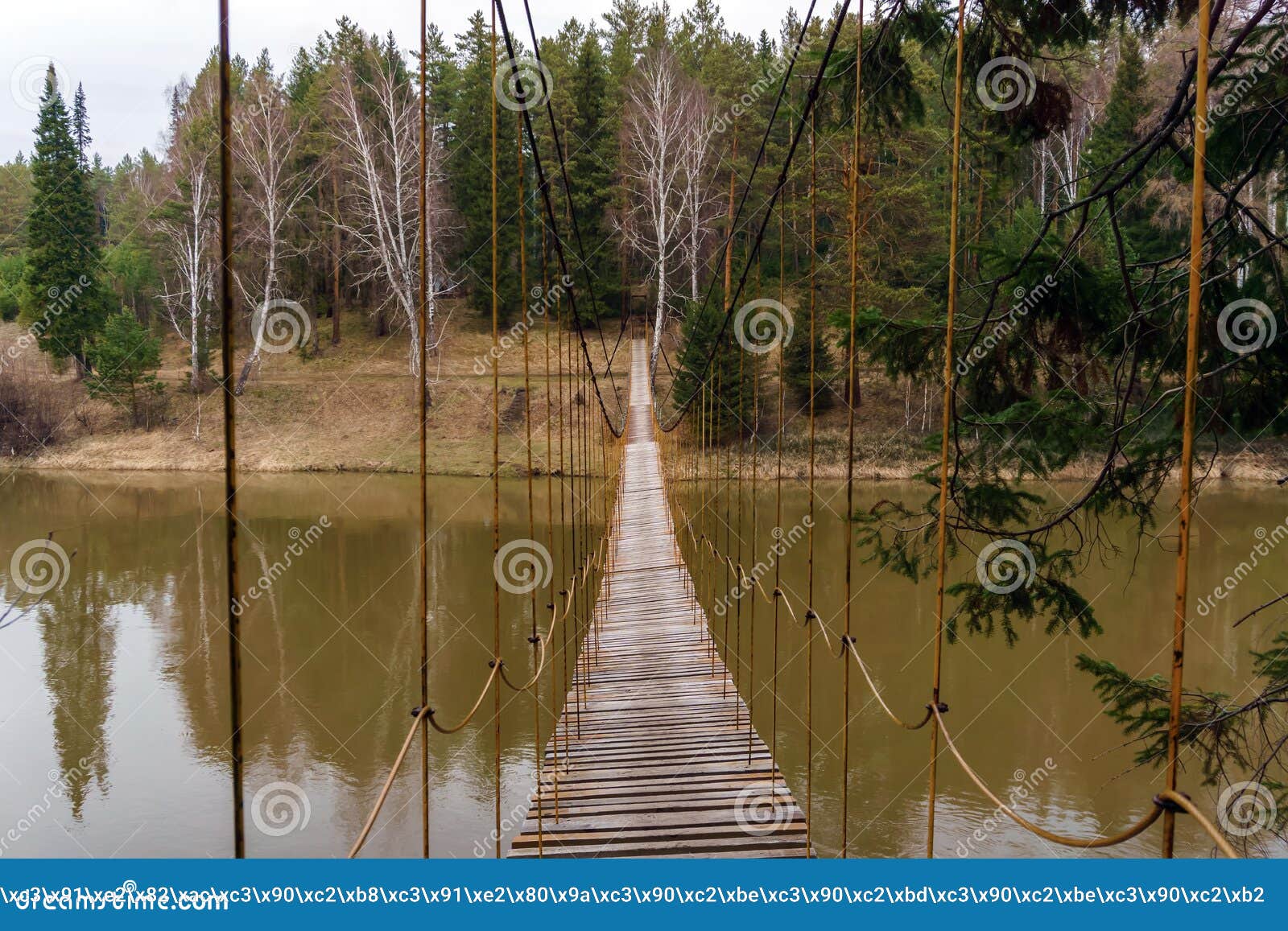 Suspension Bridge Over the River in the Spring Forest Stock Photo ...