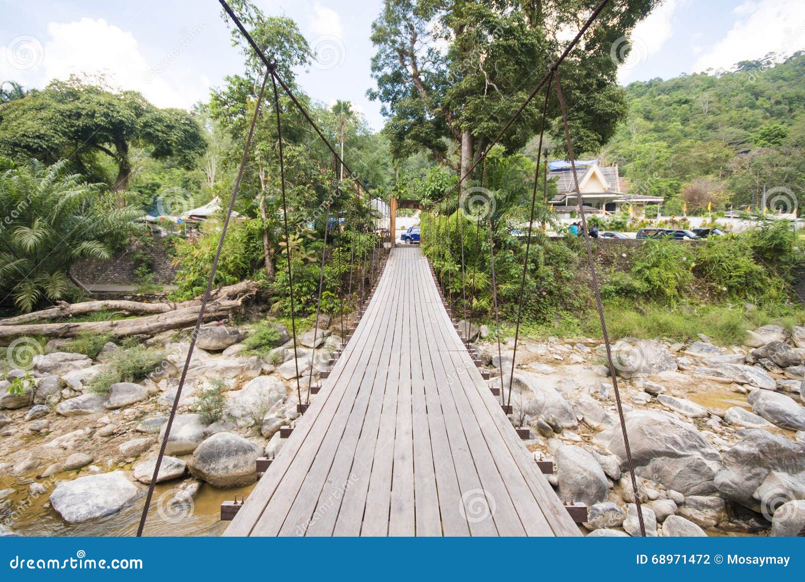 Suspension Bridge Over the Stream Stock Photo - Image of leisure ...