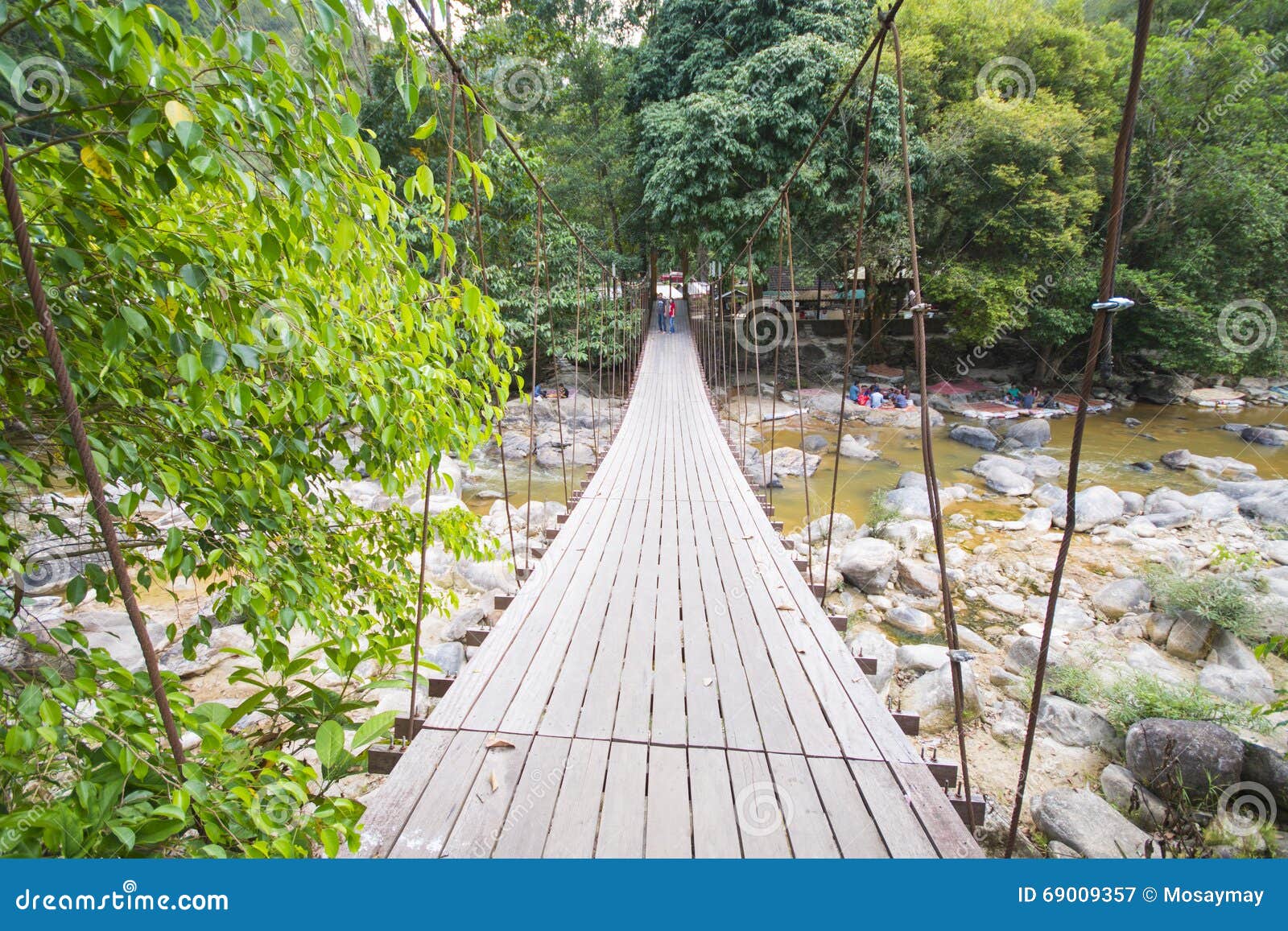 Suspension Bridge Over the Stream Stock Image - Image of stream ...