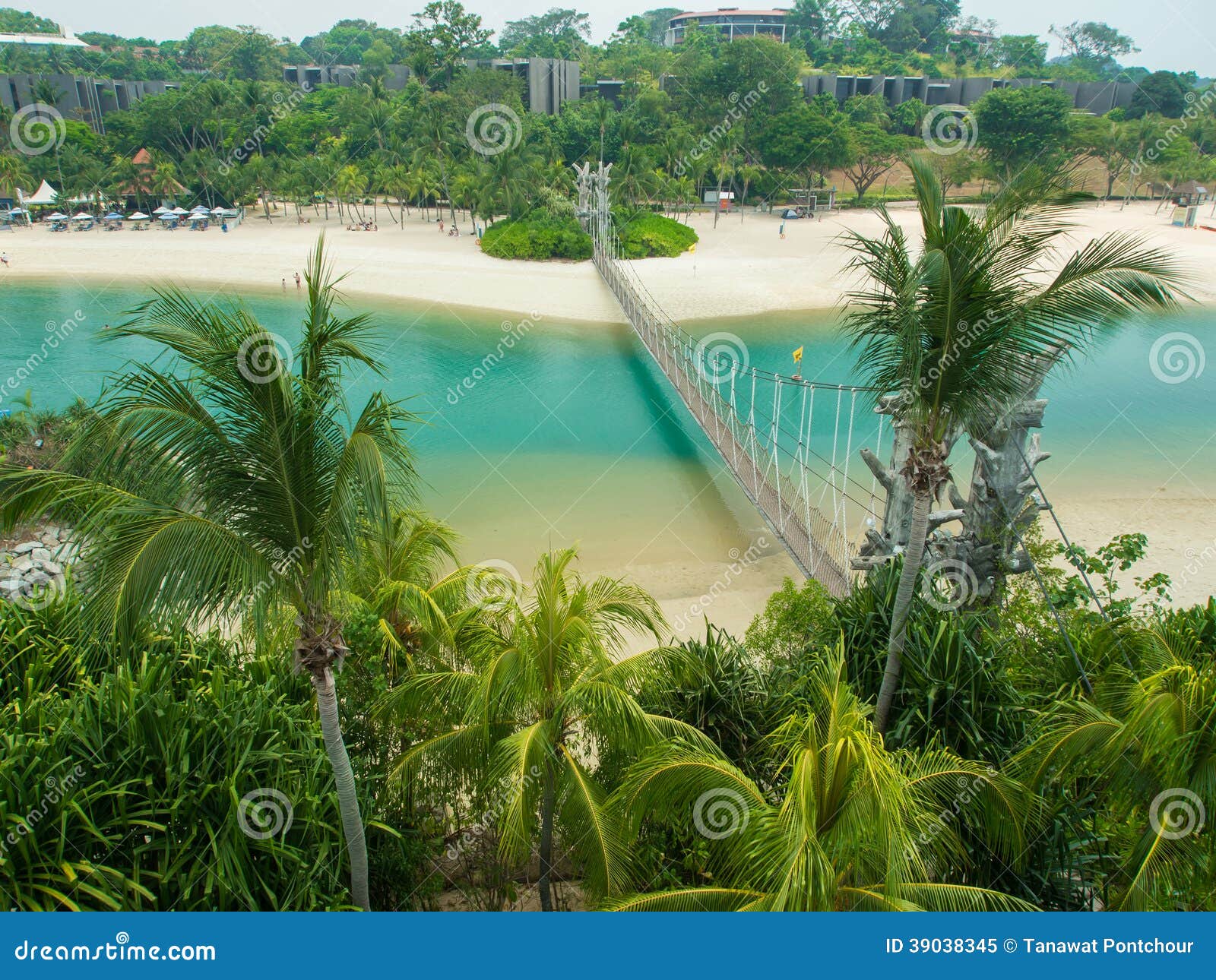 Suspension Bridge in Palawan Beach Stock Image - Image of crossover ...