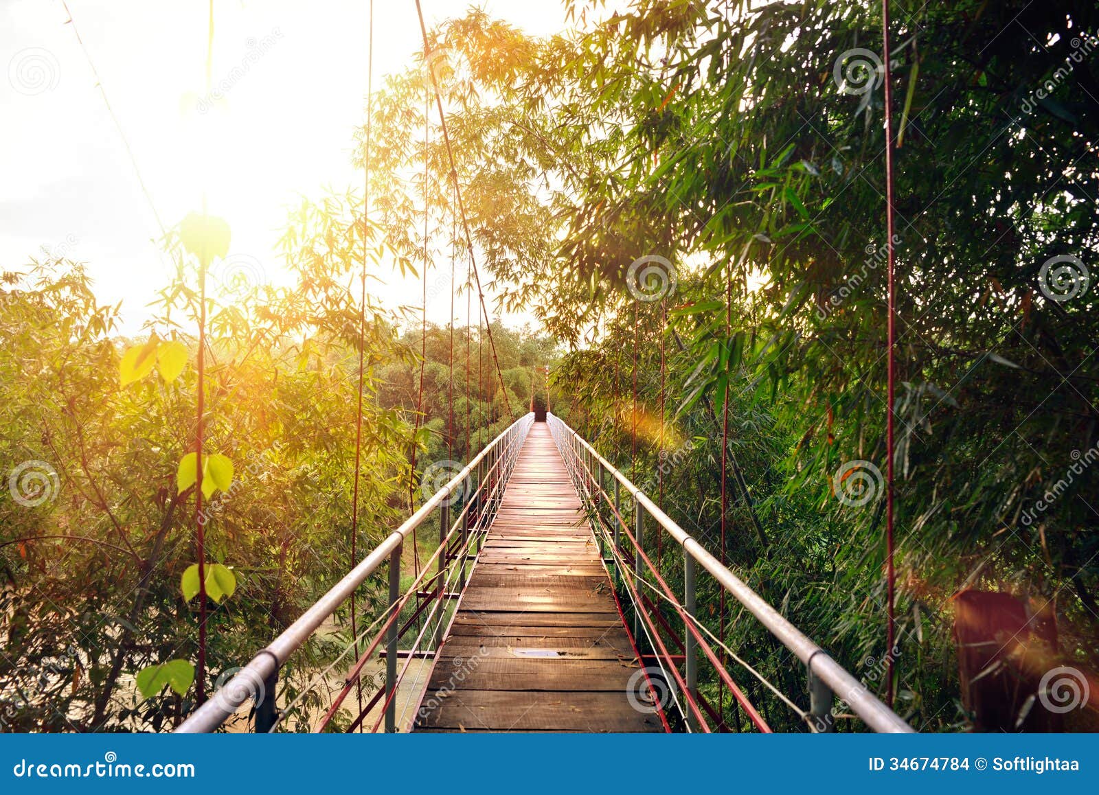 Suspension Bridge in a Tropical Forest at Sunset. Stock Photo - Image ...